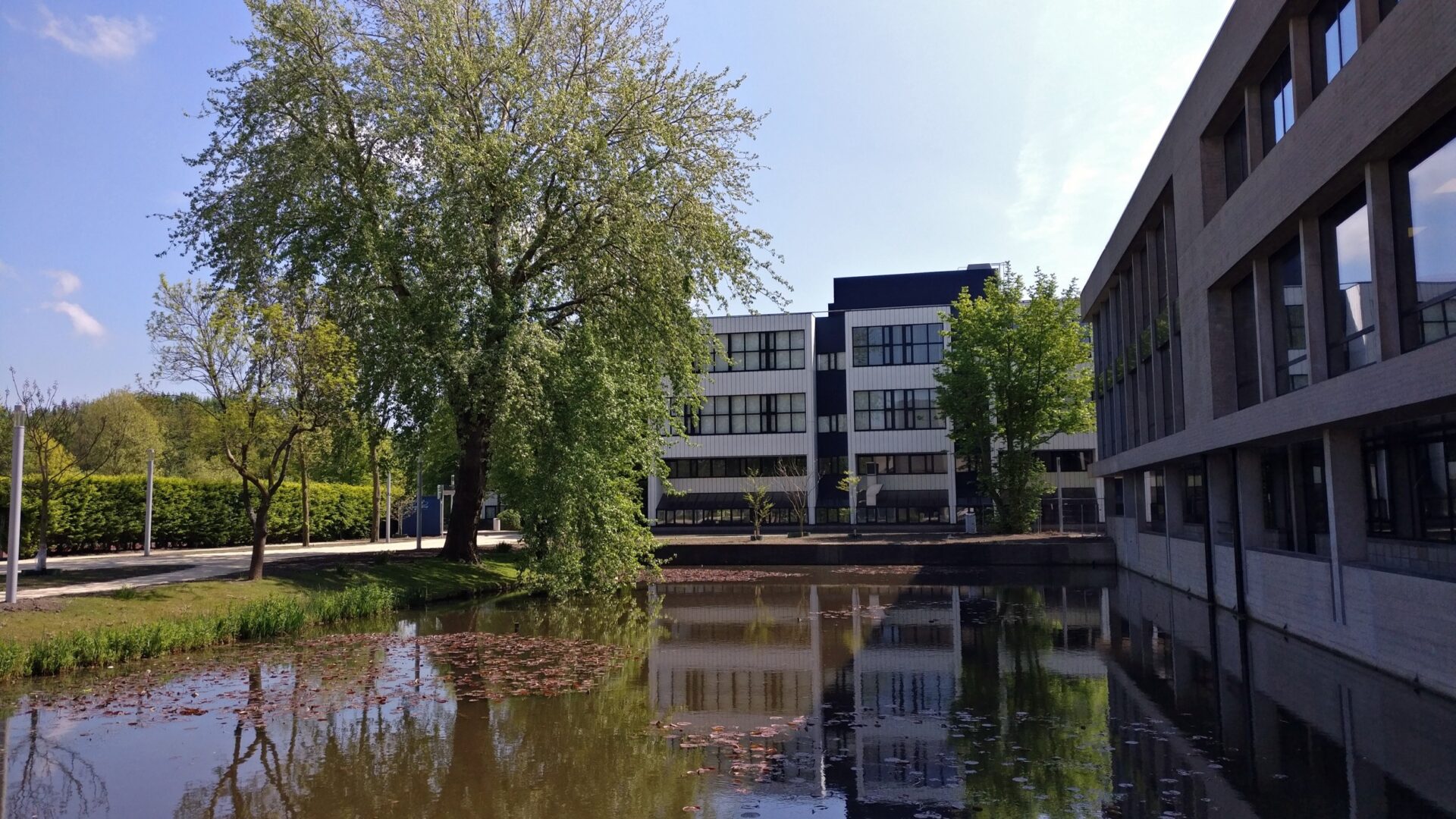 Erasmus University Campus : Rotterdam | Visions of Travel Erasmus University Campus : Rotterdam | Visions of Travel