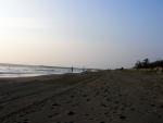 Tainan Anping beach sunset : The getting-married photo shooting ...
