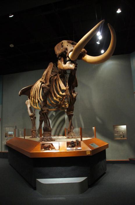 Museum of Florida History : Tallahassee | Visions of Travel