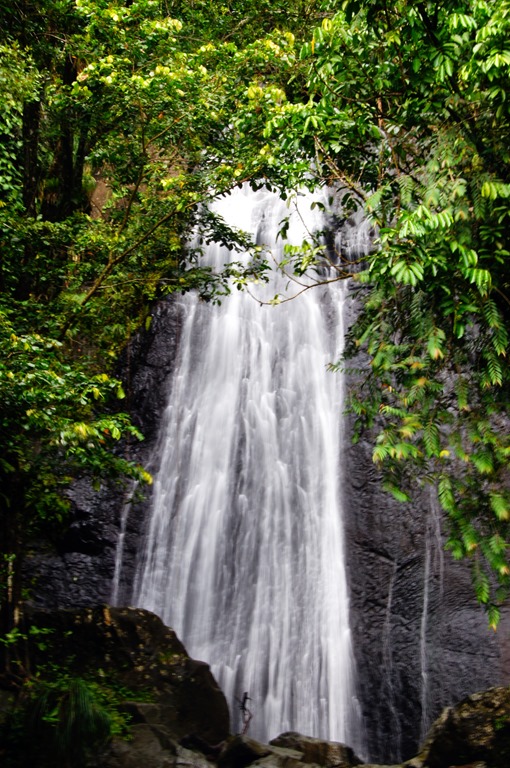 El Yunque National Rain Forest Day Trip: Puerto Rico | Visions of Travel