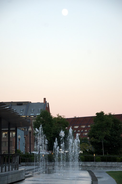 Boston Common Park and Freedom Trail | Visions of Travel