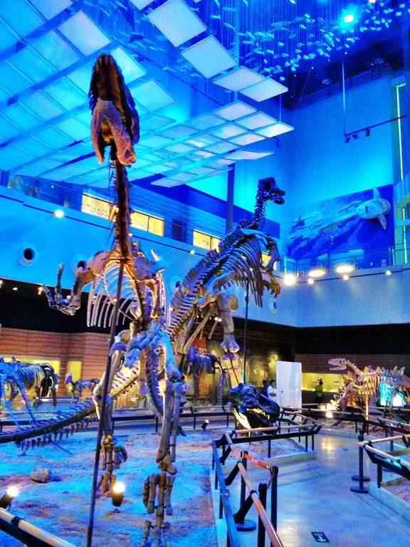 Guangdong Museum : Guangzhou | Visions of Travel