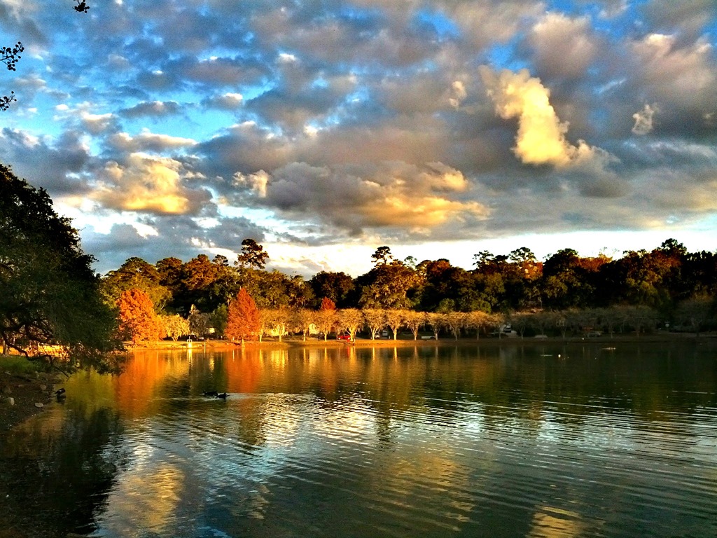 Lake Ella : Tallahassee | Visions of Travel