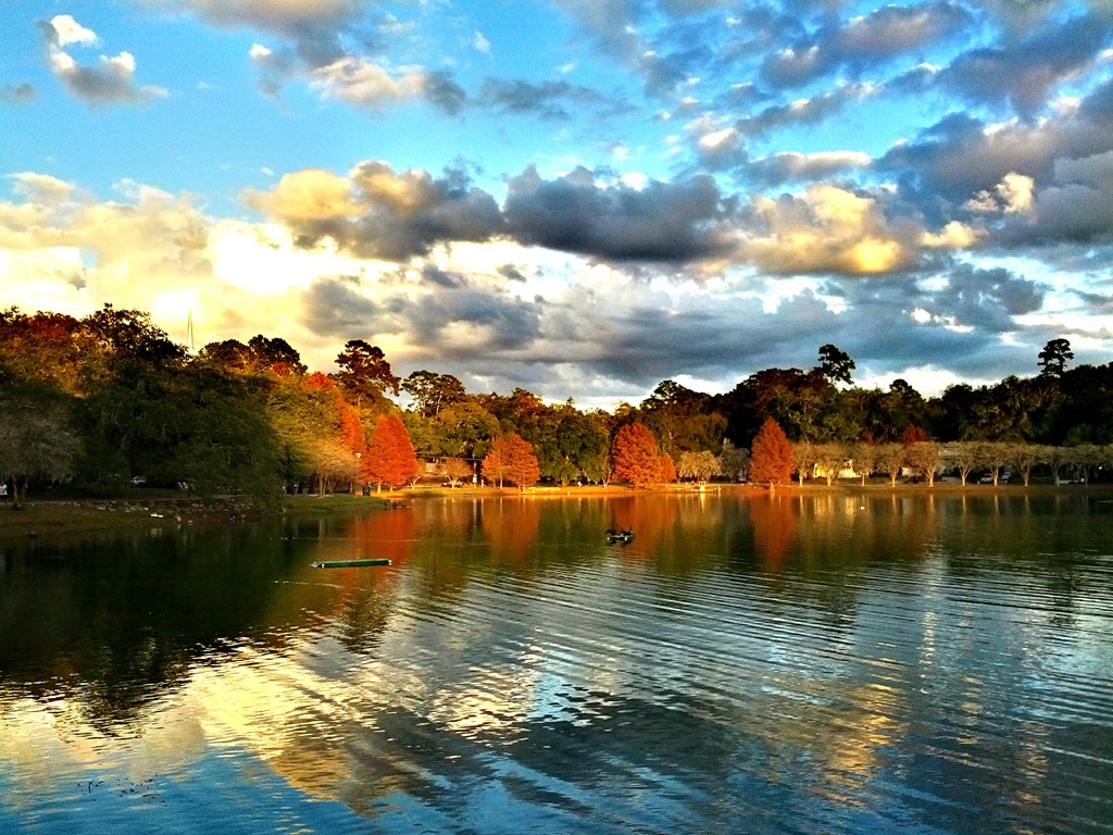 Lake Ella : Tallahassee | Visions of Travel