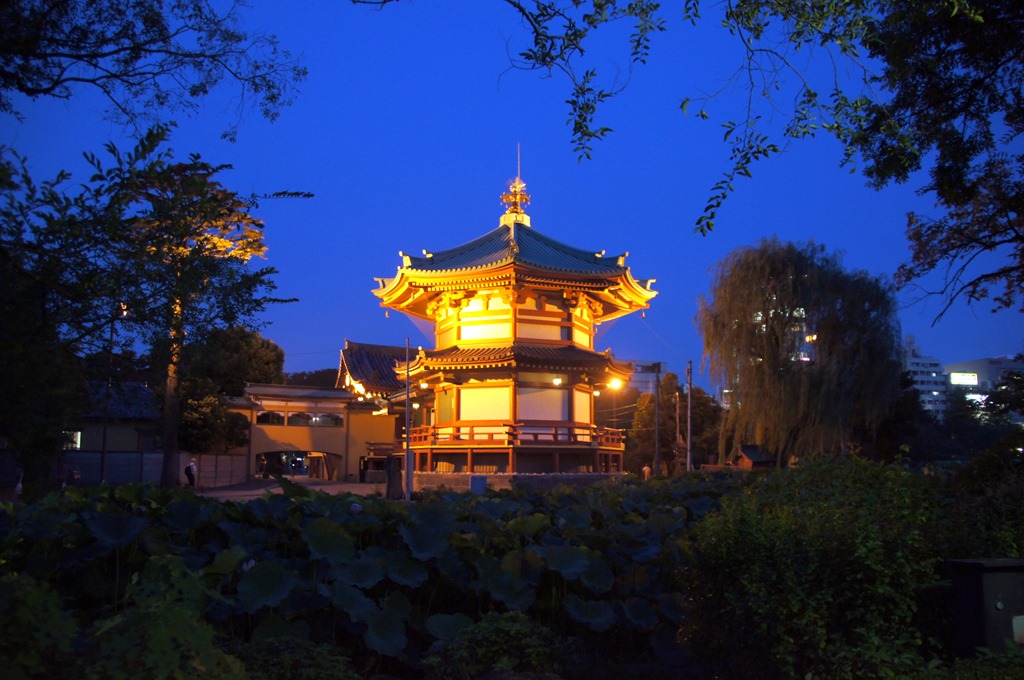 Ueno Park and Yanaka Cemetery : Tokyo | Visions of Travel