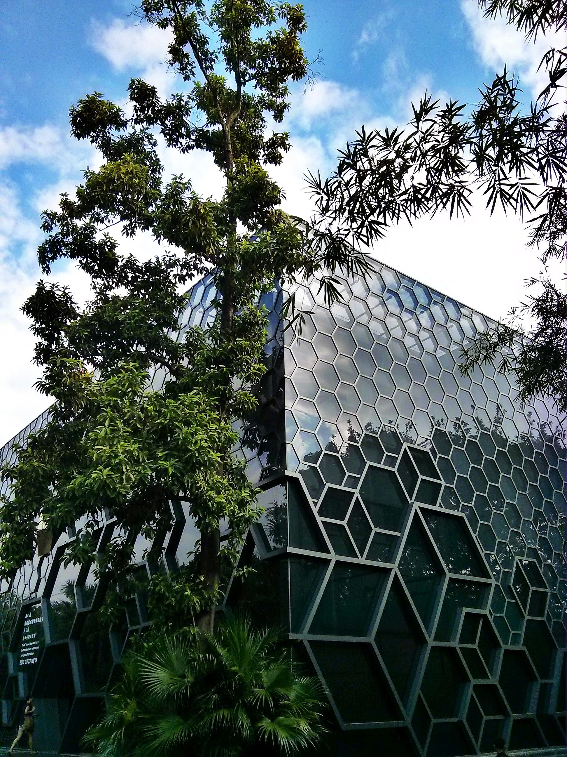 He Xiangning Art Museum : Shenzhen | Visions of Travel
