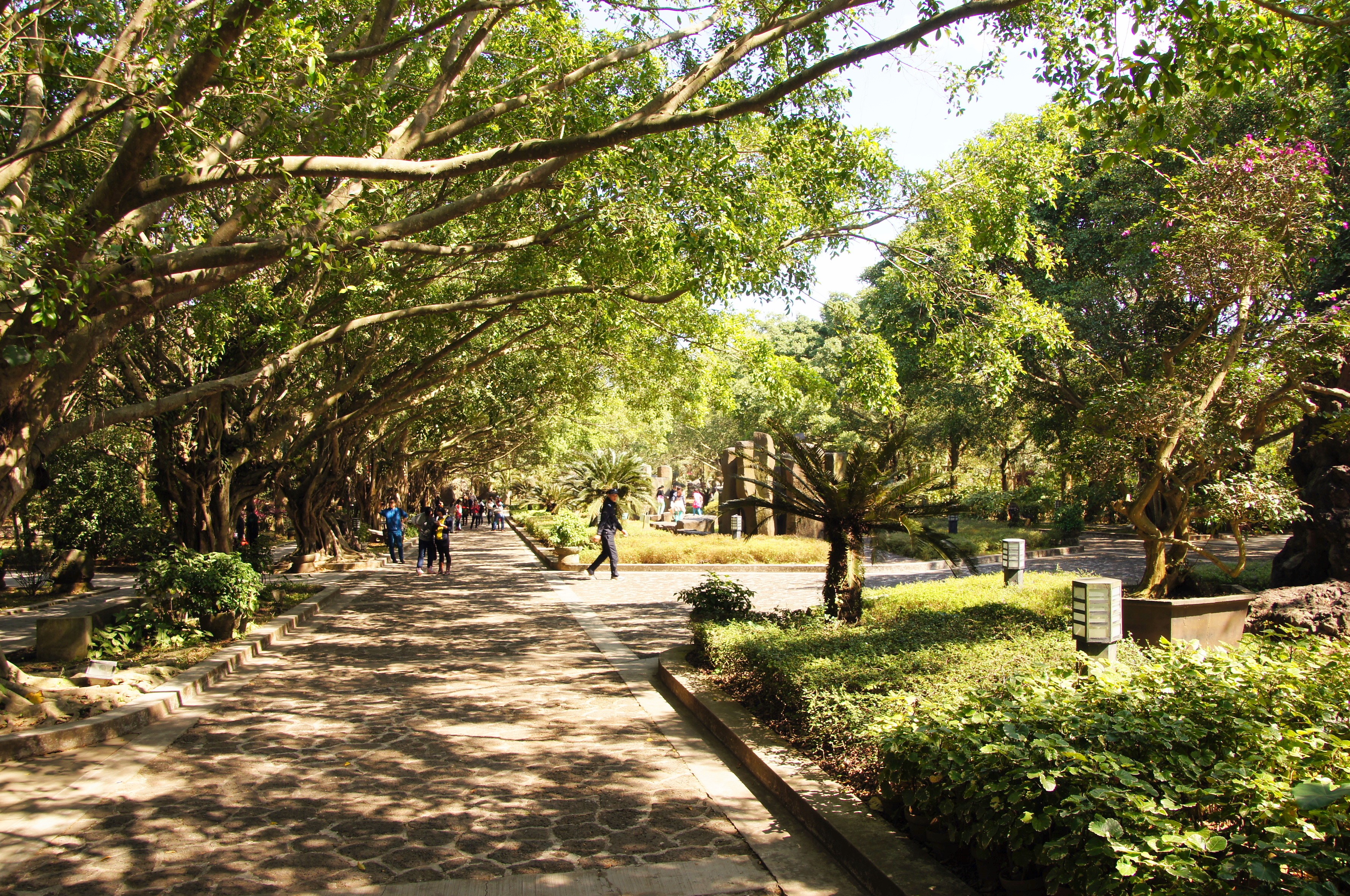 Shishan Volcanic Cluster National Geopark : Haikou Hainan | Visions of ...