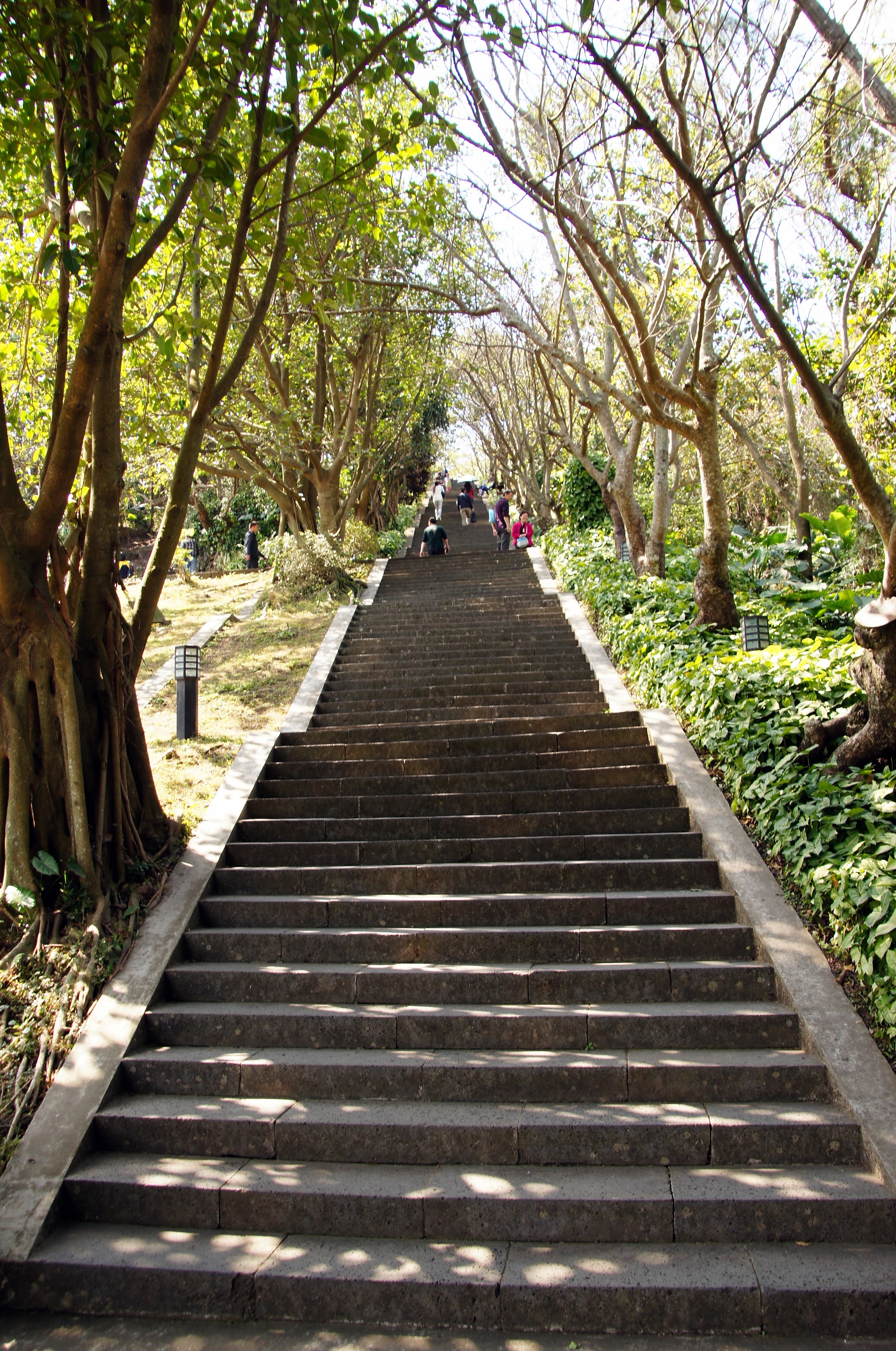 Shishan Volcanic Cluster National Geopark : Haikou Hainan | Visions of ...