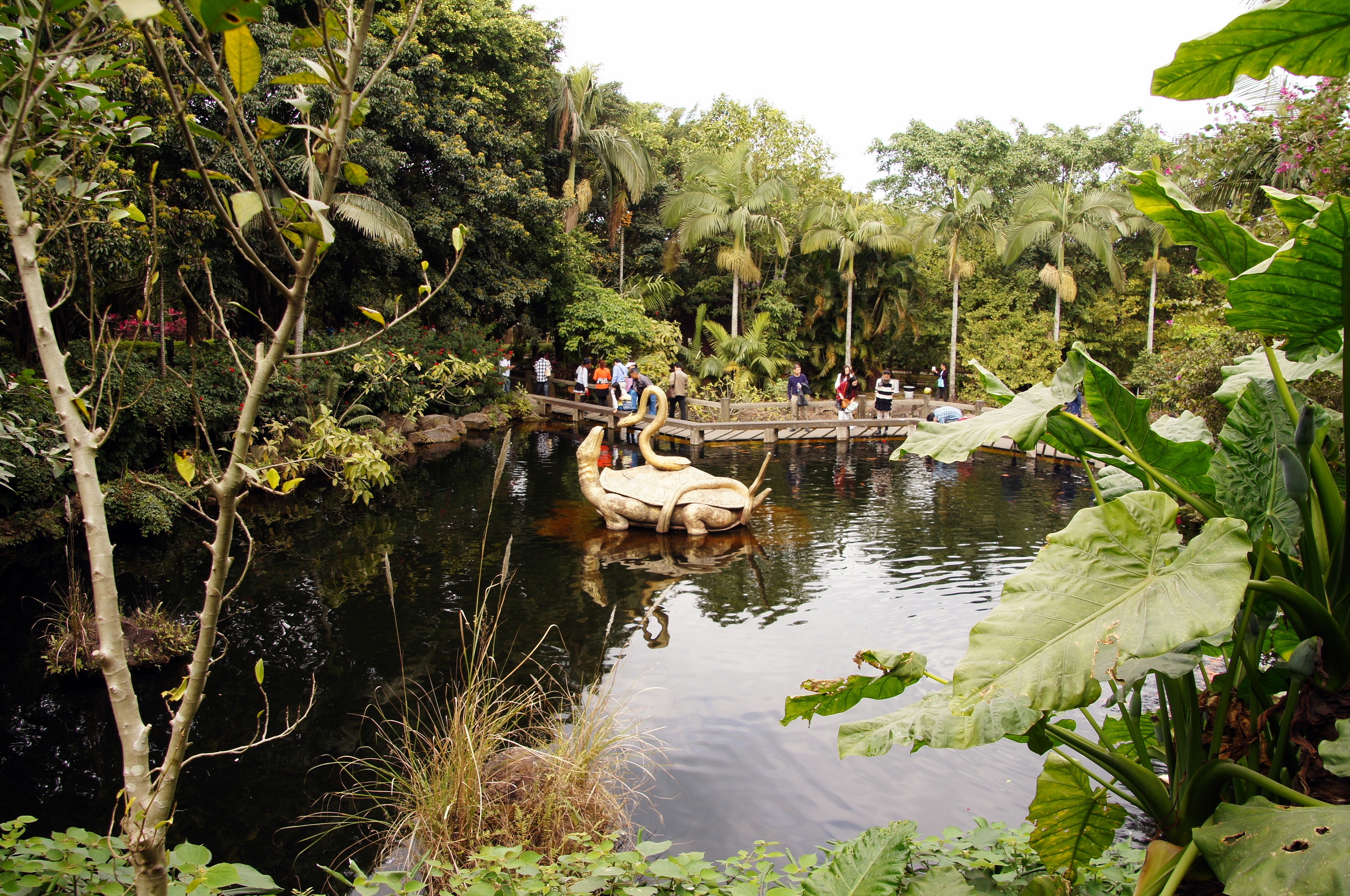 Shishan Volcanic Cluster National Geopark : Haikou Hainan | Visions of ...