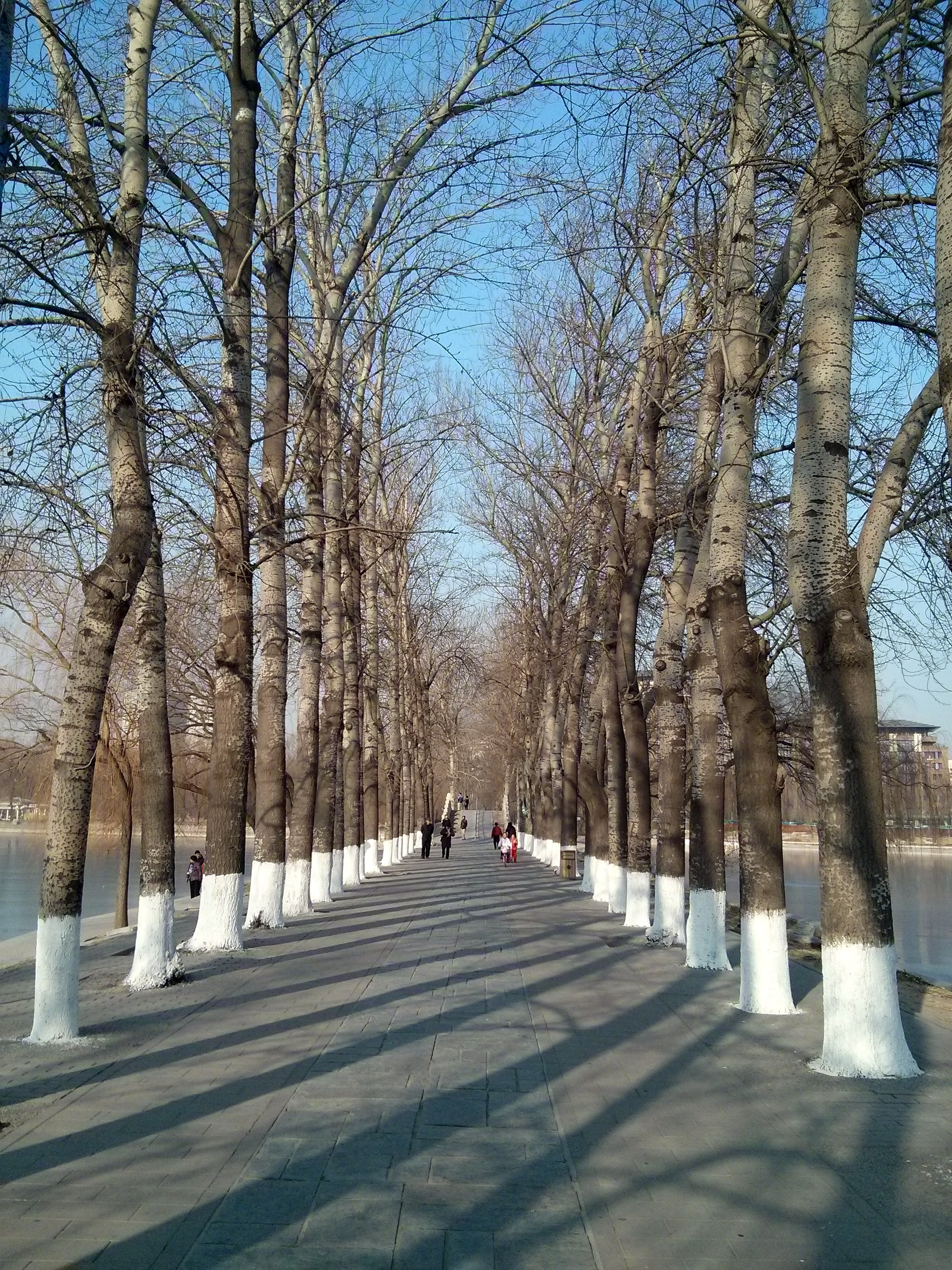 Yuyuantan Park : Beijing | Visions of Travel