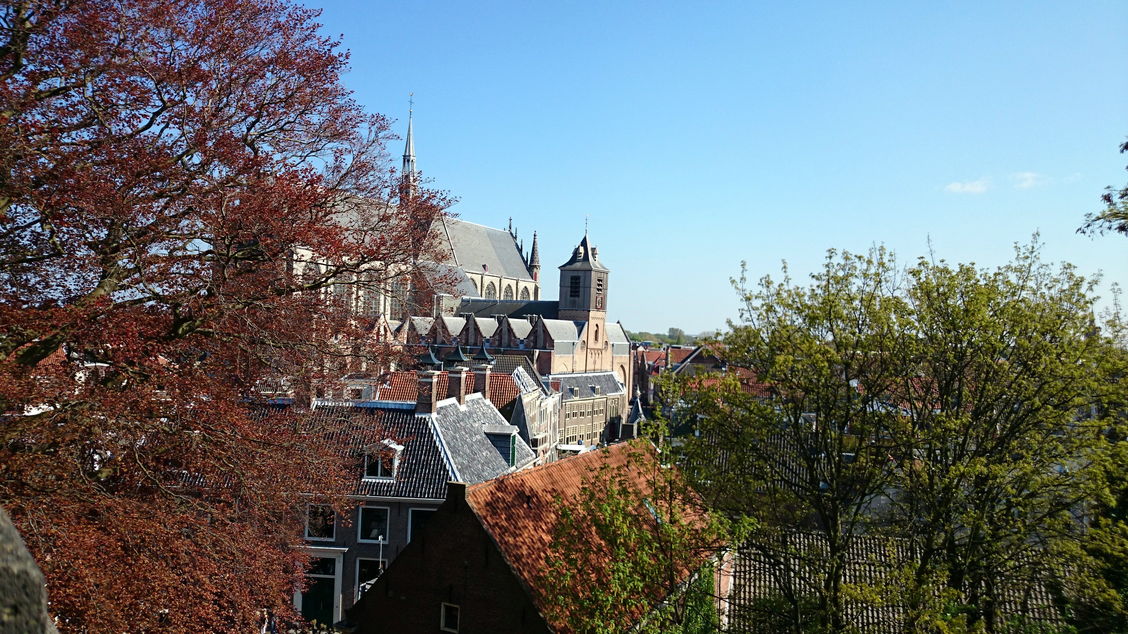 The city of Leiden : Netherlands | Visions of Travel