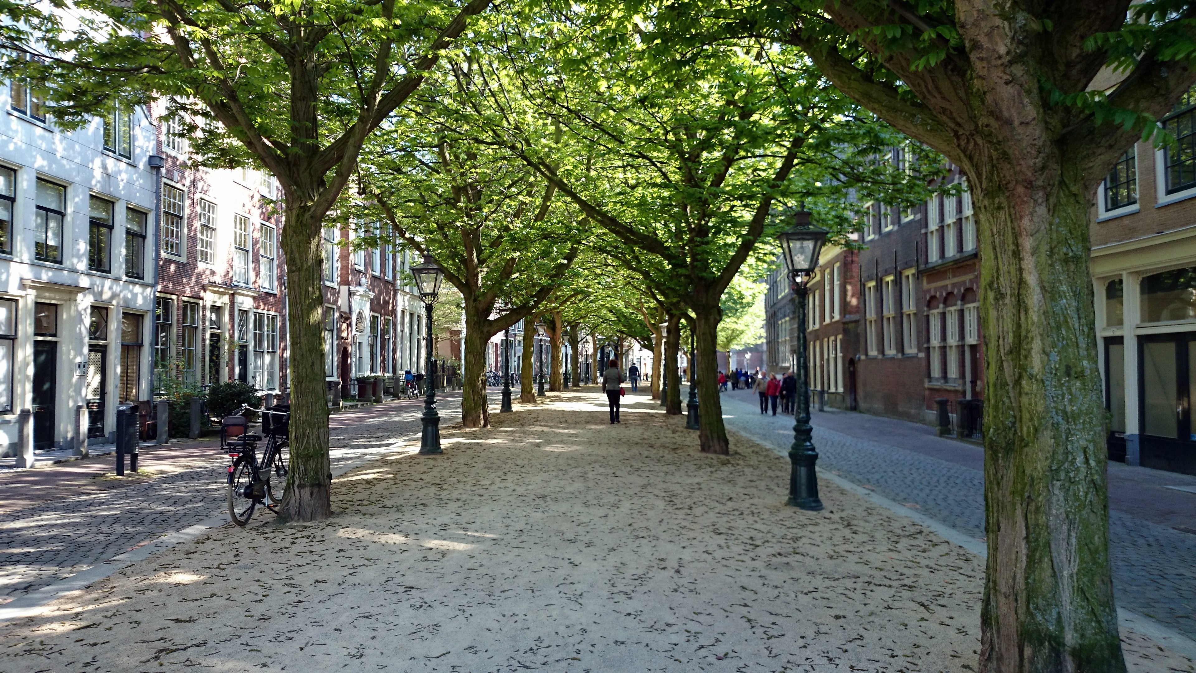 The city of Leiden : Netherlands | Visions of Travel