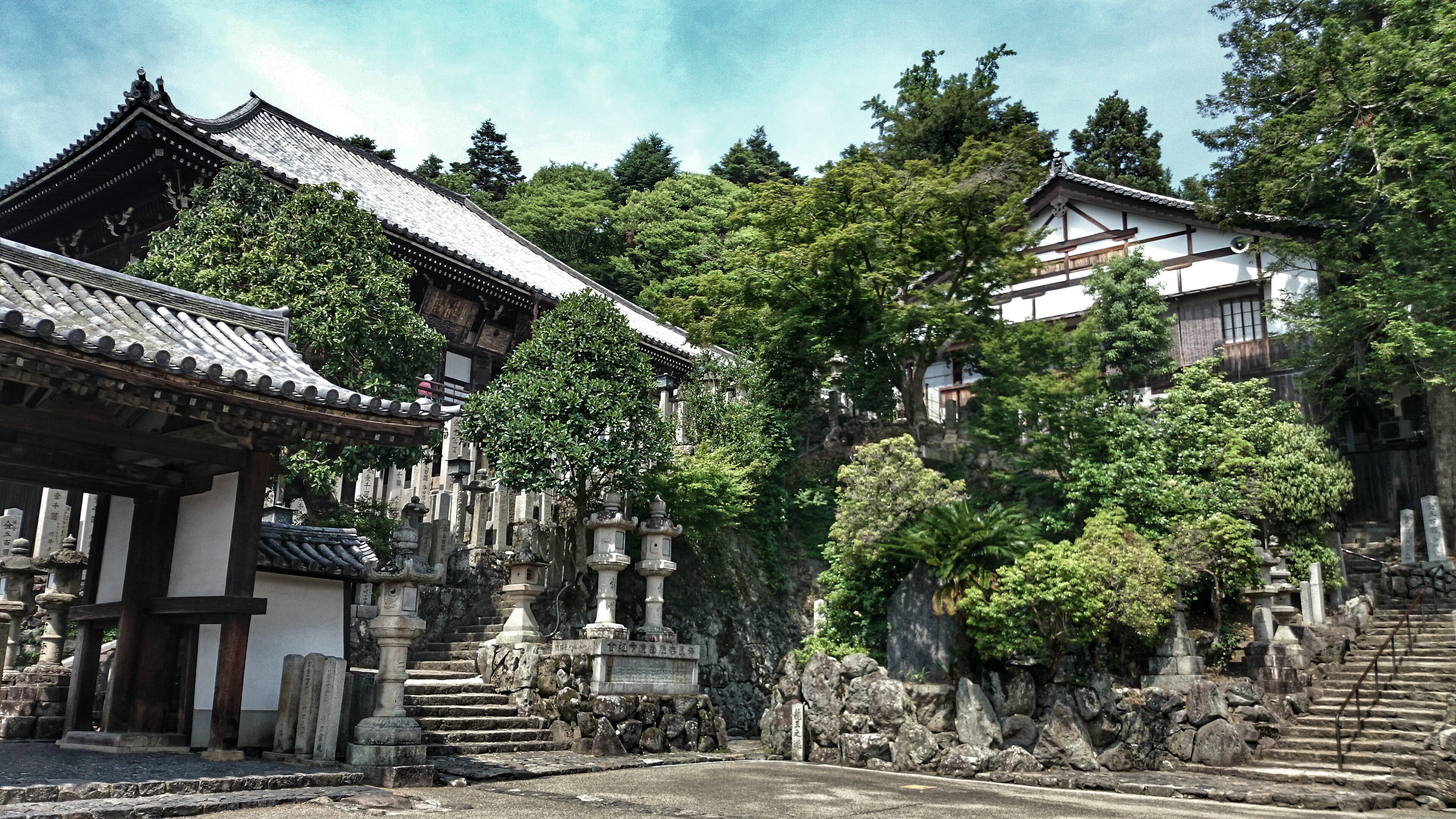 Visions of Nara : Japan | Visions of Travel