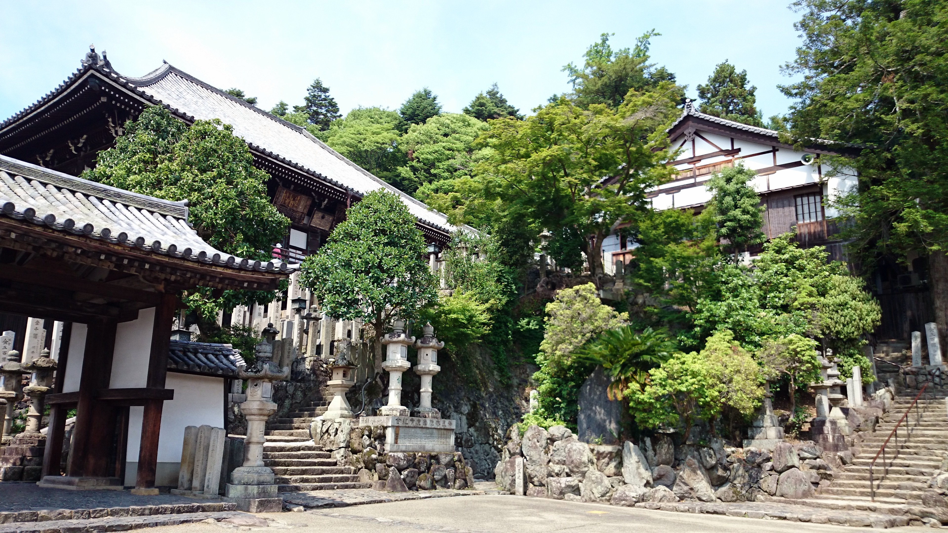 The temples and shrines of Nara Park | Visions of Travel