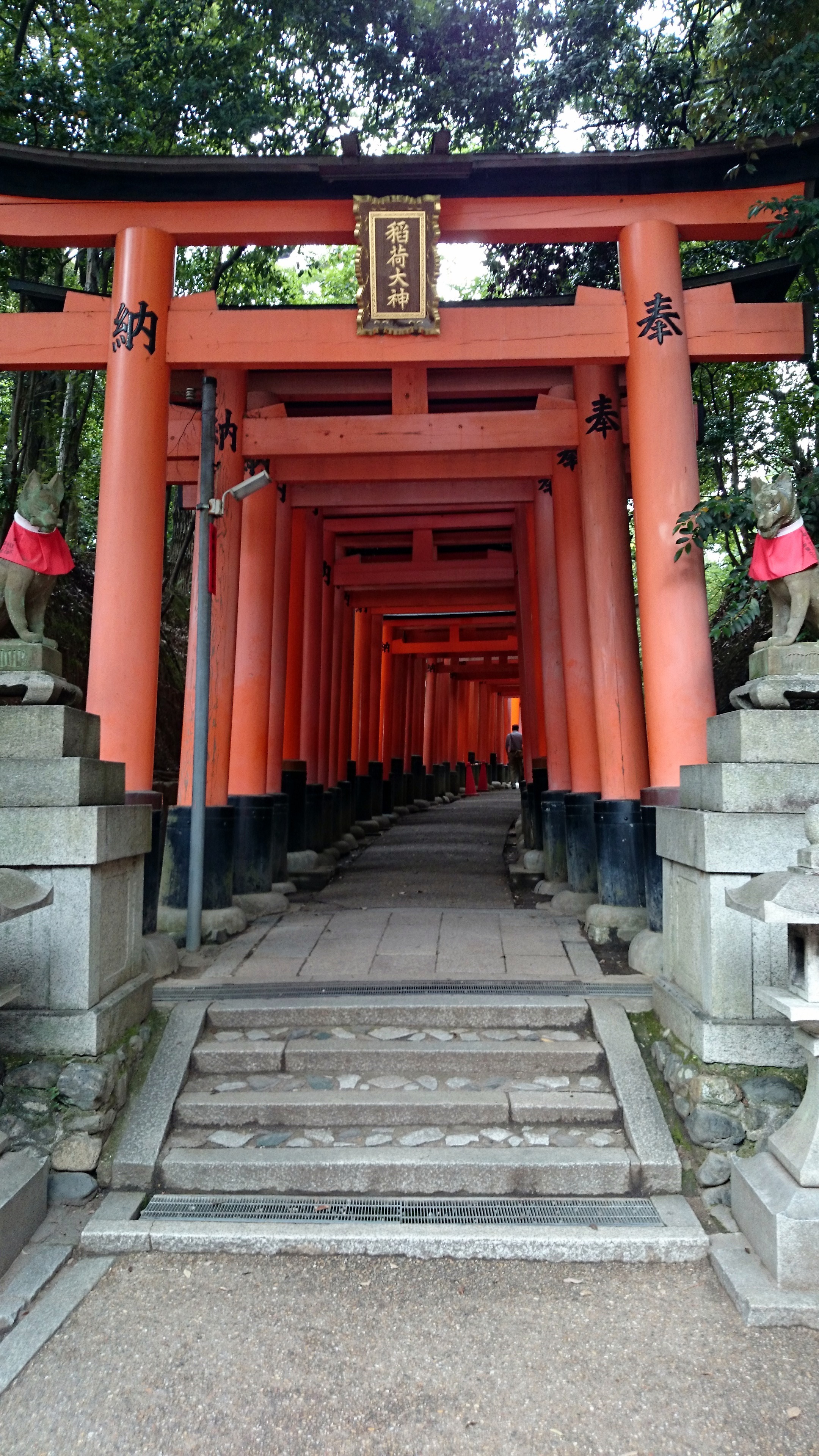 The temples and shrines of Nara Park | Visions of Travel