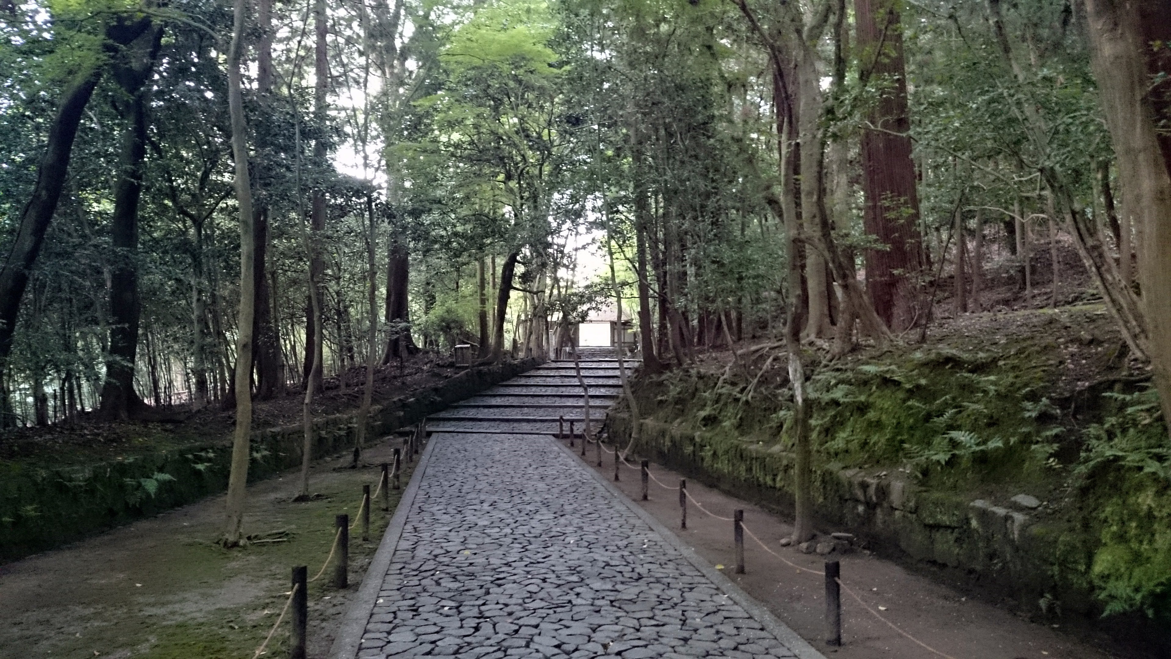 The temples and shrines of Nara Park | Visions of Travel