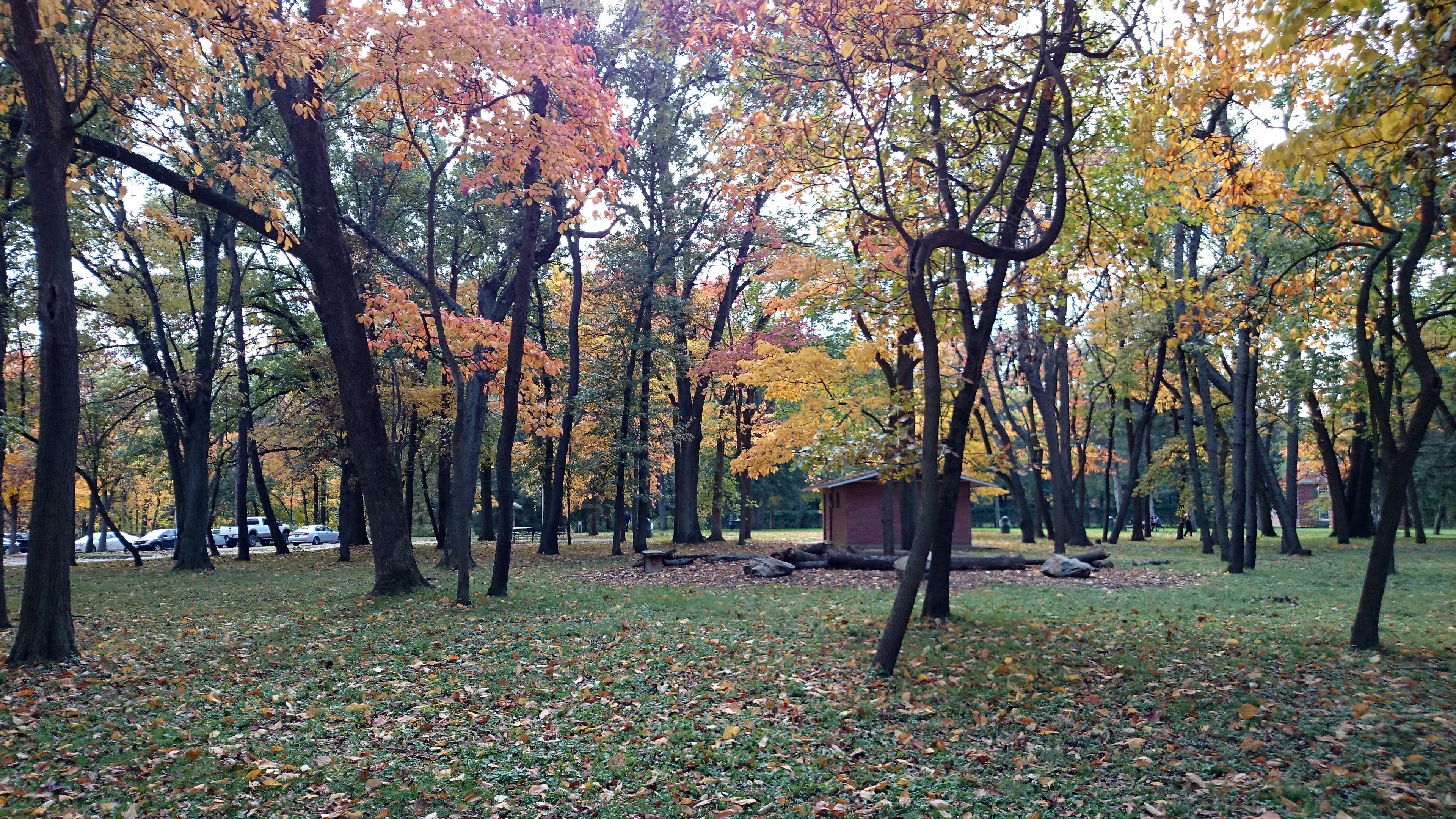 Robert Allerton Park : UIUC – Illinois | Visions of Travel