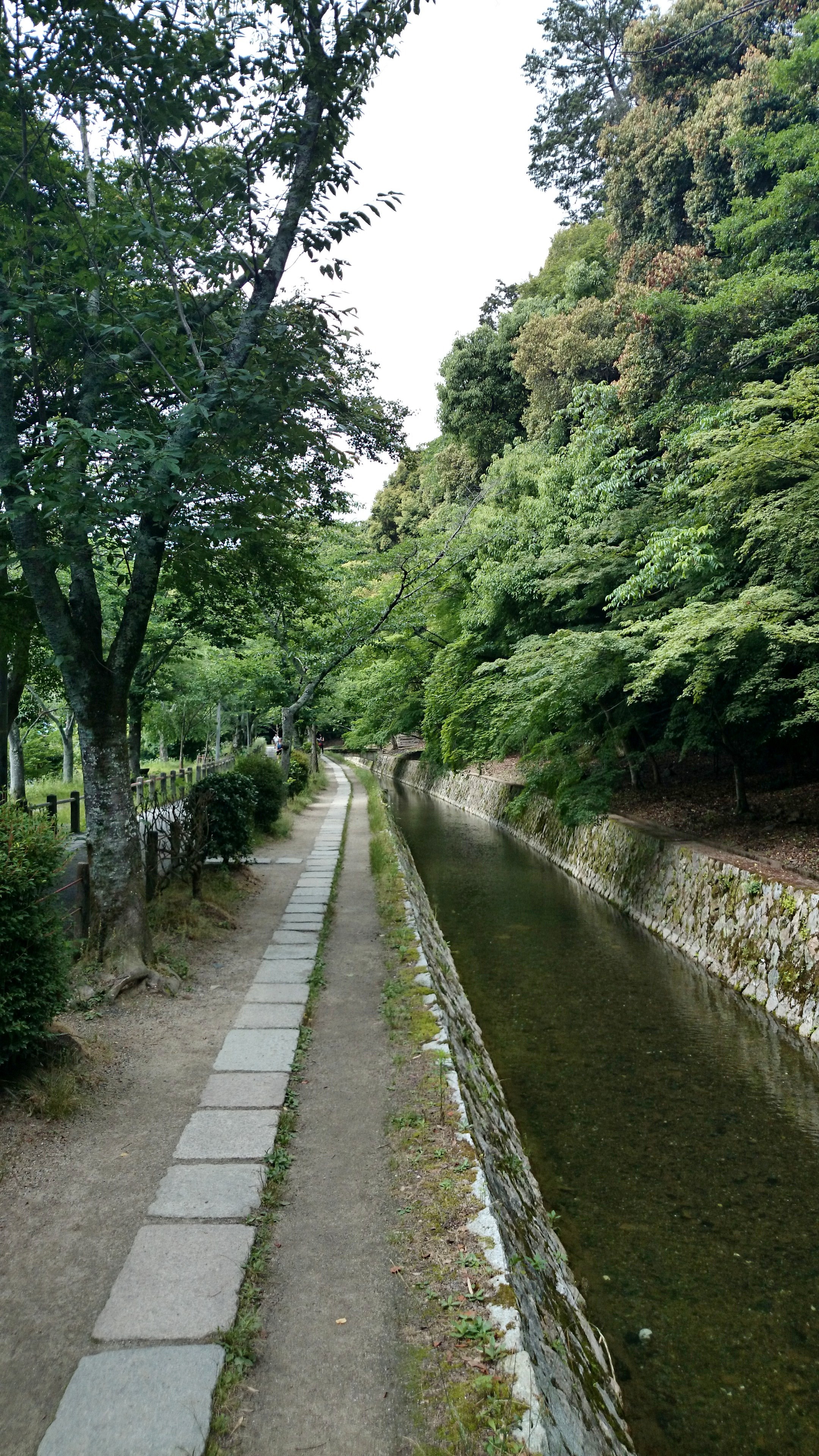 Ginkaku-ji temple path : Ancient Kyoto walks | Visions of Travel