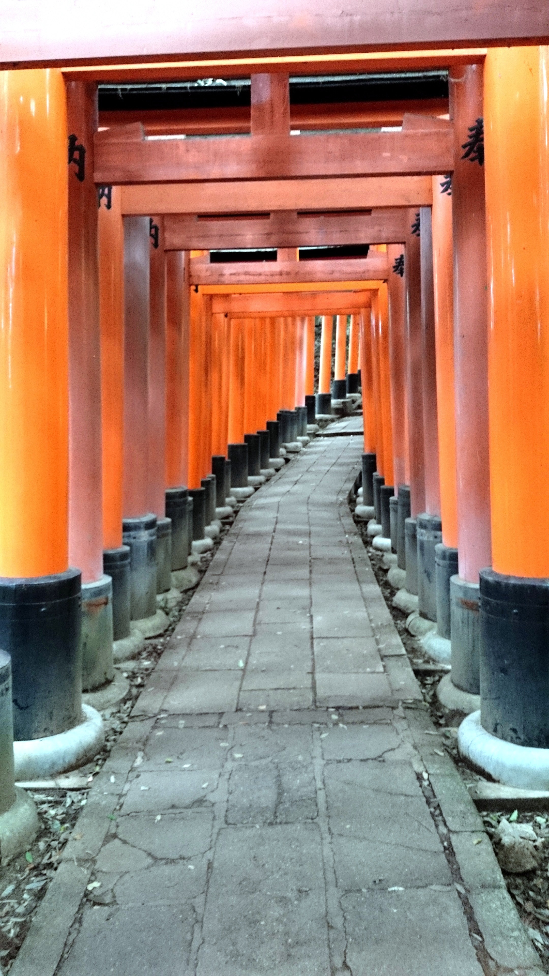 Hiking up the Toriis of Fushimi Inari Temple : Kyoto | Visions of Travel