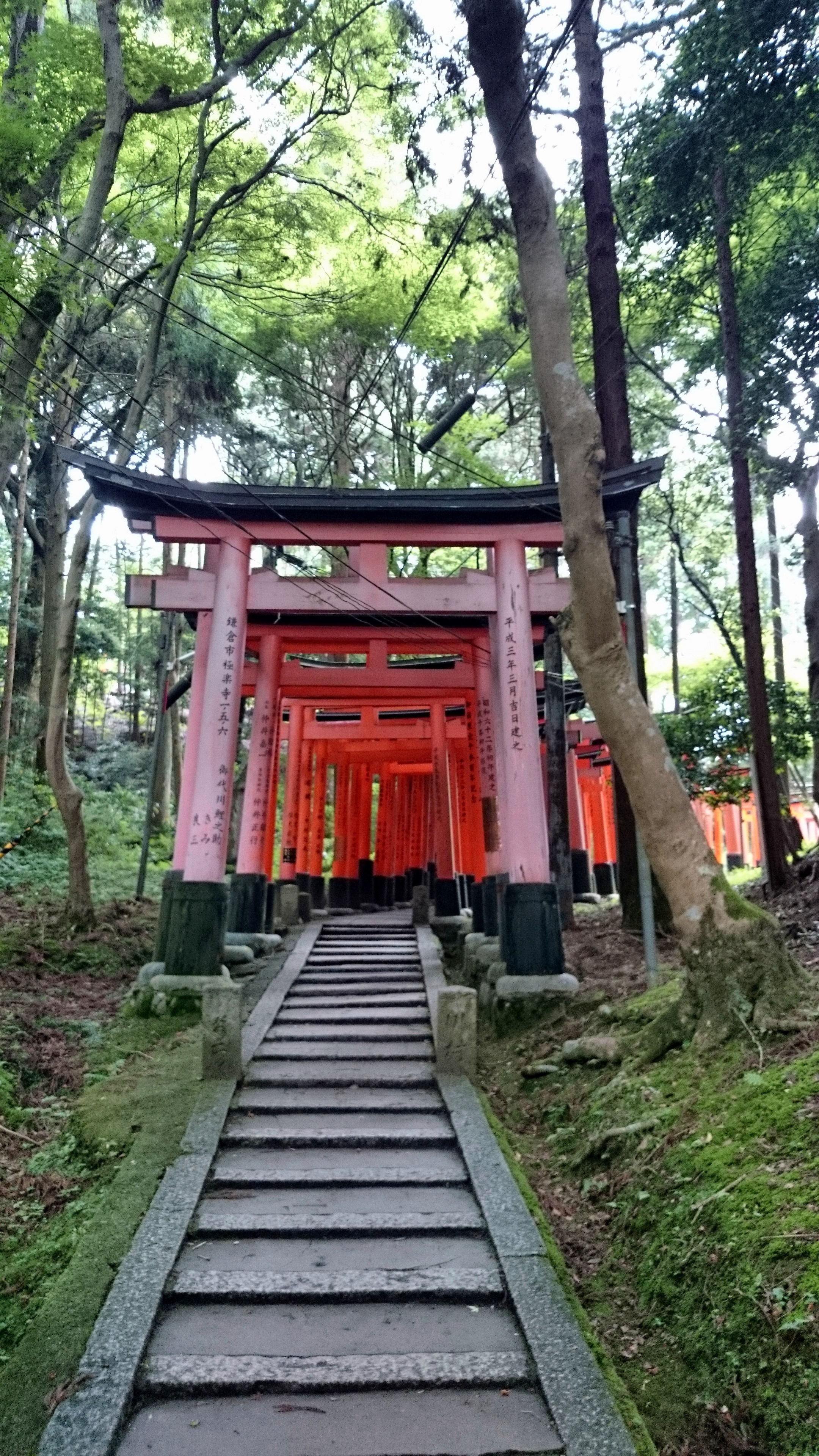 Hiking up the Toriis of Fushimi Inari Temple : Kyoto | Visions of Travel