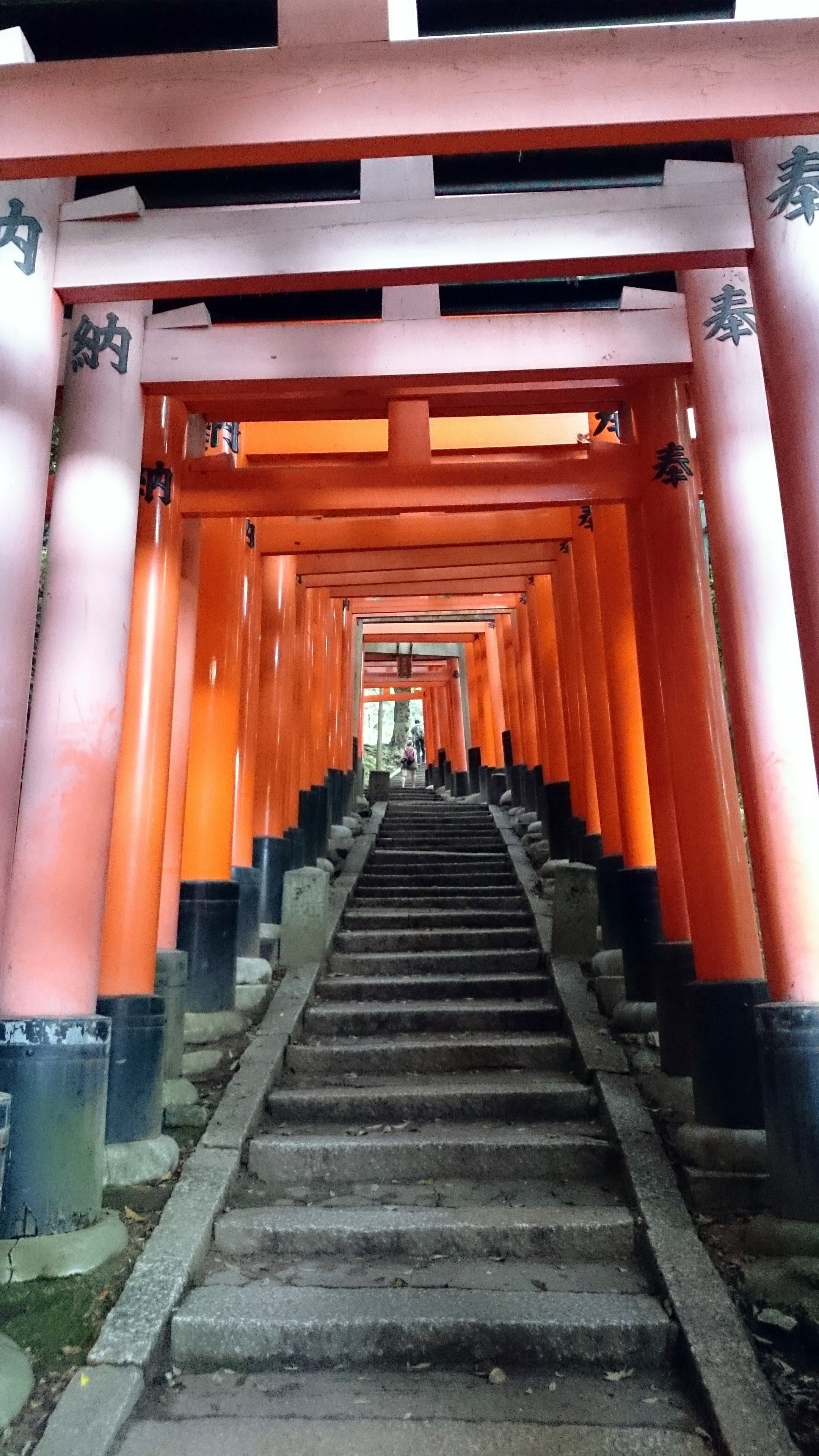 Hiking up the Toriis of Fushimi Inari Temple : Kyoto | Visions of Travel