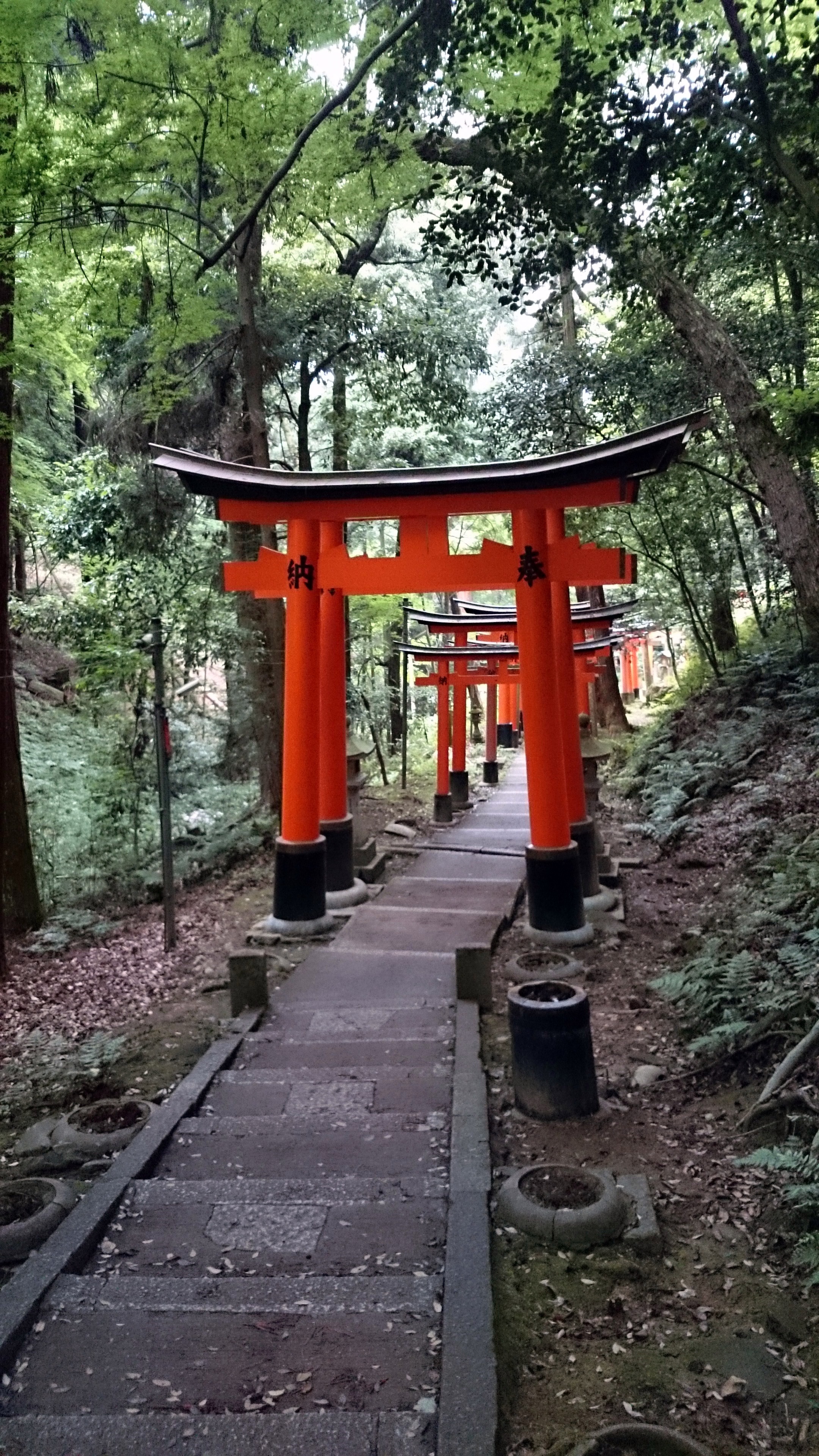 Hiking up the Toriis of Fushimi Inari Temple : Kyoto | Visions of Travel