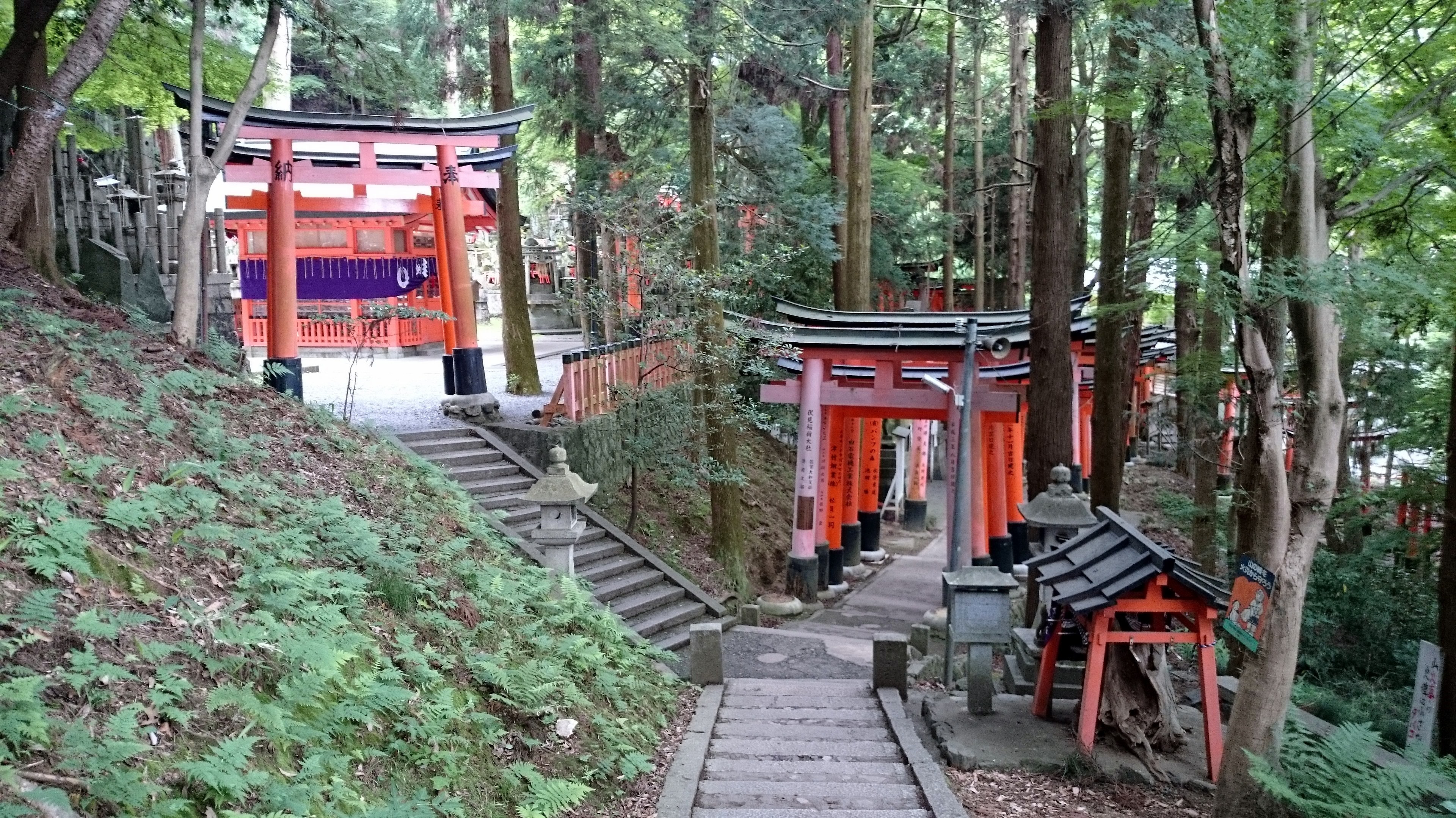 Hiking up the Toriis of Fushimi Inari Temple : Kyoto | Visions of Travel