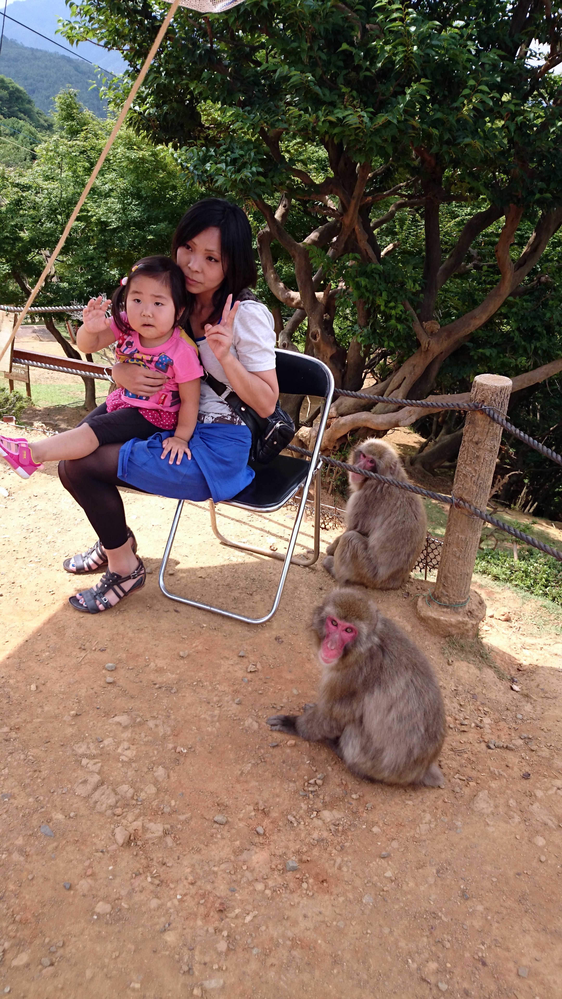 Iwatayama Monkey Park Arashiyama : Kyoto | Visions of Travel