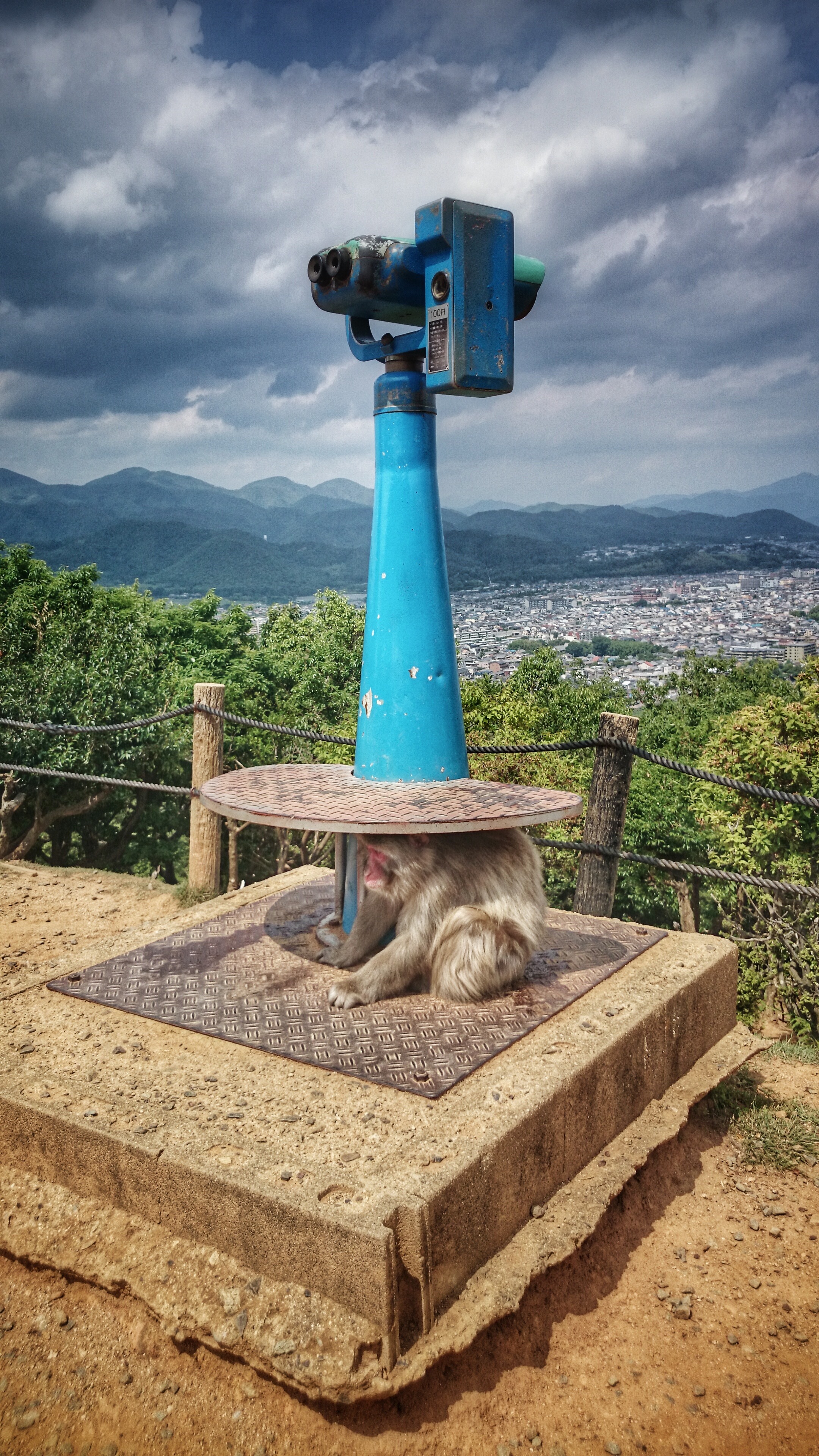 Iwatayama Monkey Park Arashiyama : Kyoto | Visions of Travel