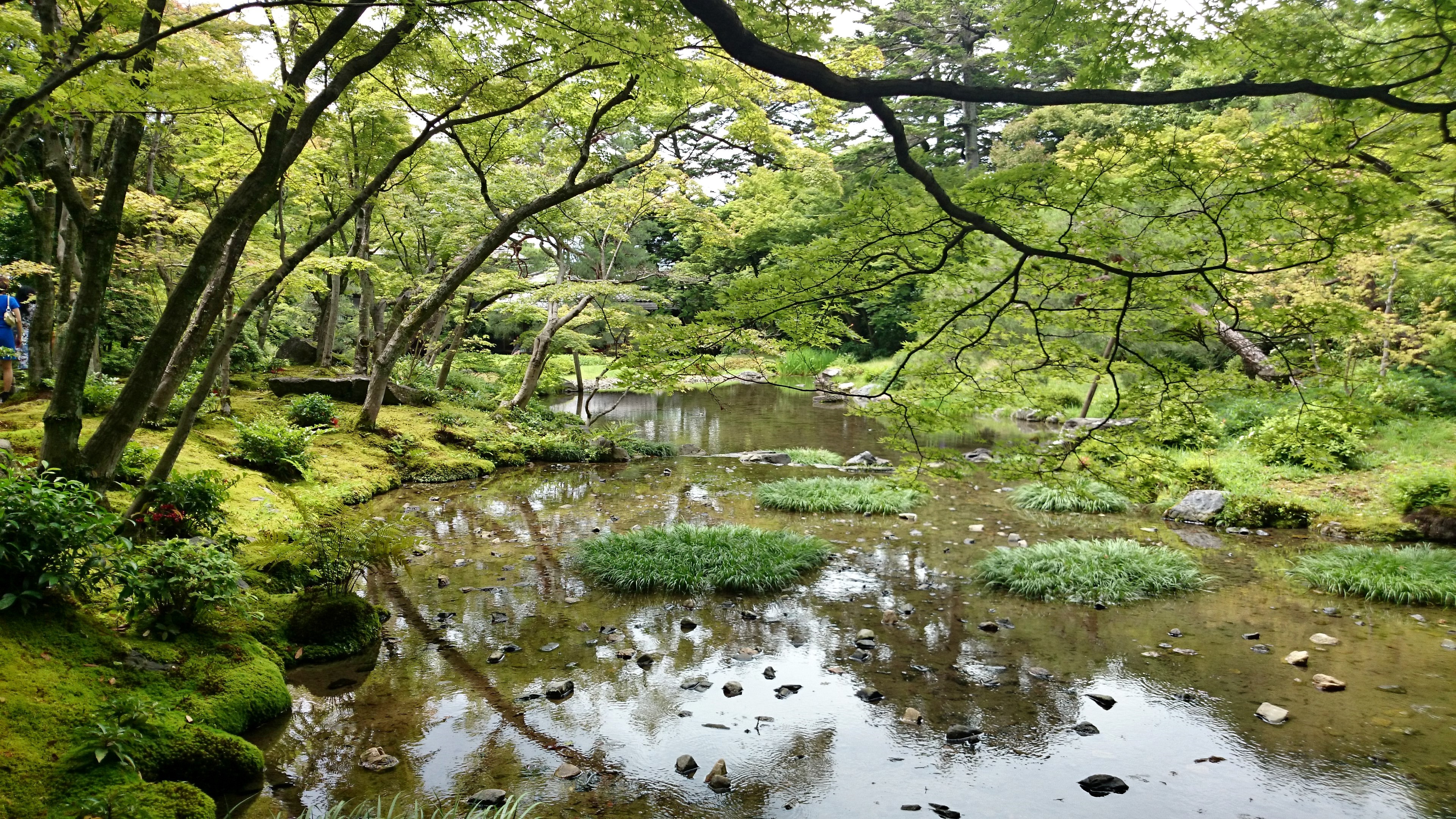 Murin An Villa & KonchiIn Temple Gardens : Kyoto | Visions of Travel