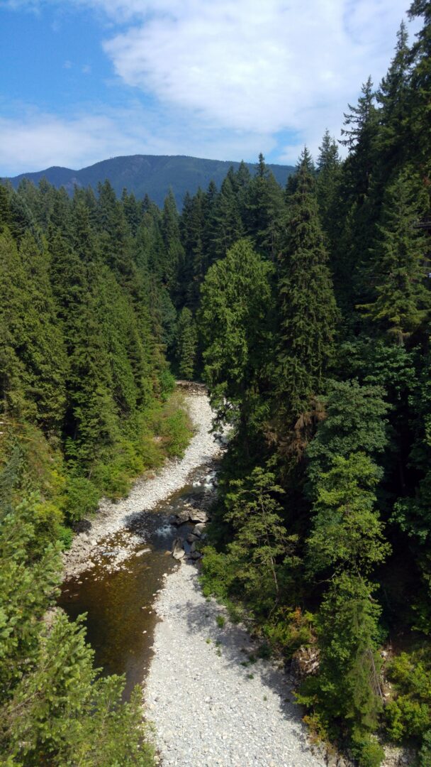 Capilano Suspension Bridge : Vancouver Canada | Visions of Travel