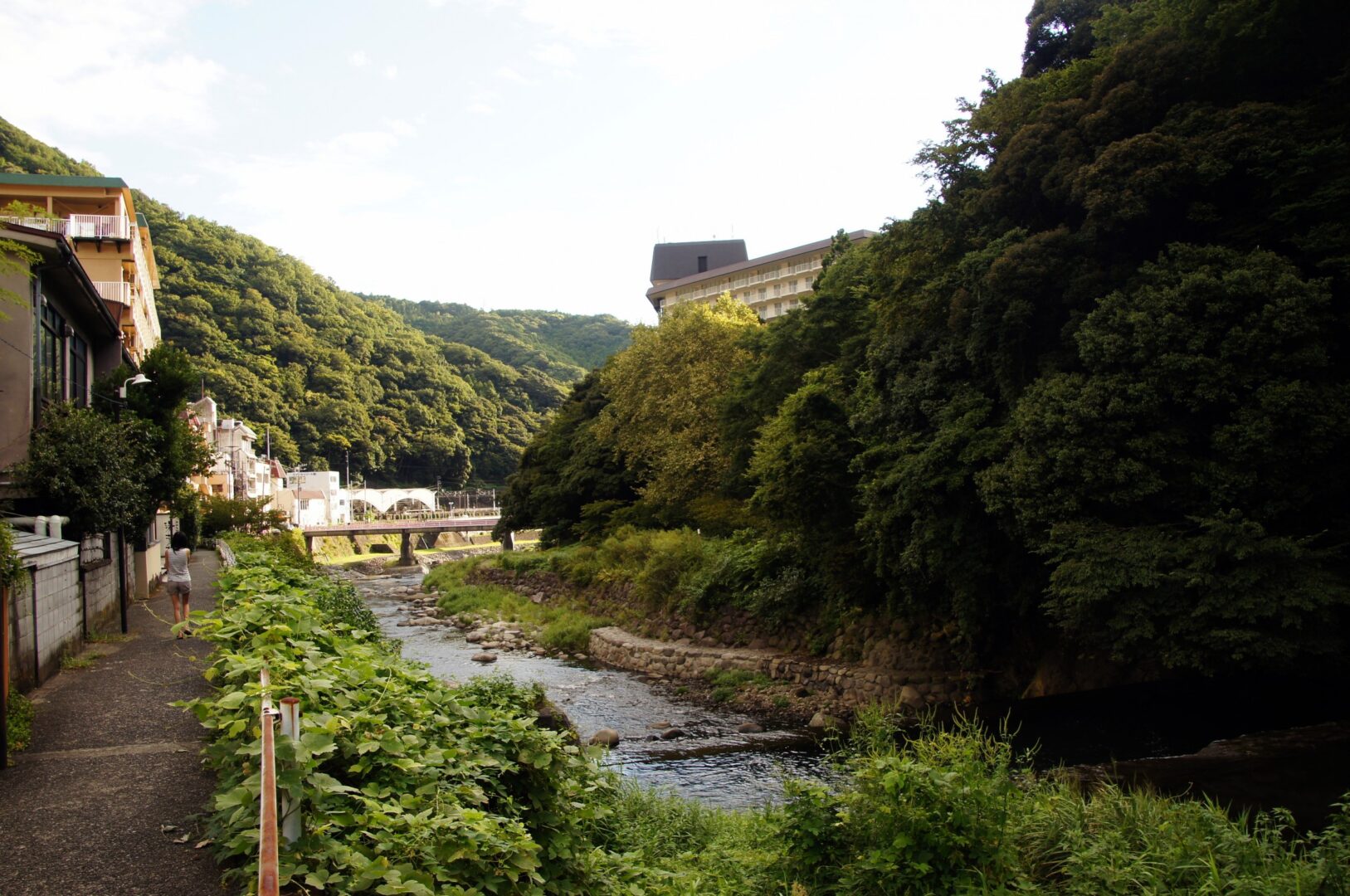 Hakone mountain train and cable car : Japan | Visions of Travel