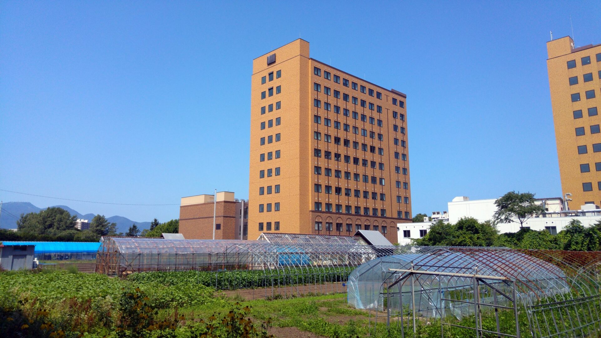 Hokkaido University Campus : Sapporo | Visions of Travel