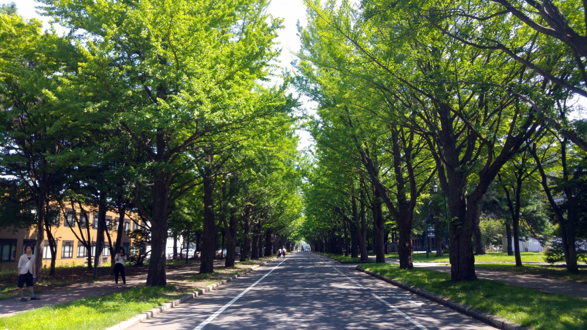 Hokkaido University Campus : Sapporo | Visions of Travel