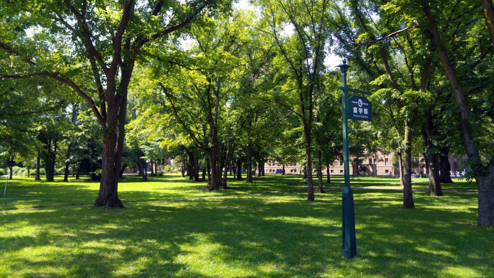 Hokkaido University Campus : Sapporo | Visions of Travel