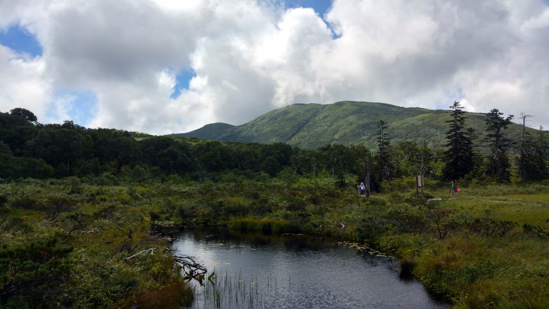 Shinsen-numa Wetland Swamp : Niseko | Visions of Travel