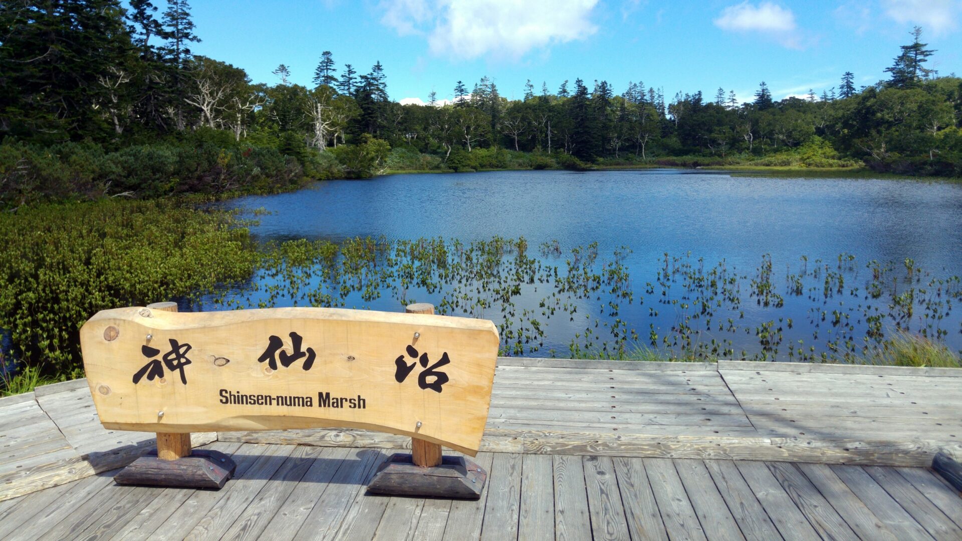 Shinsen-numa Wetland Swamp : Niseko | Visions of Travel