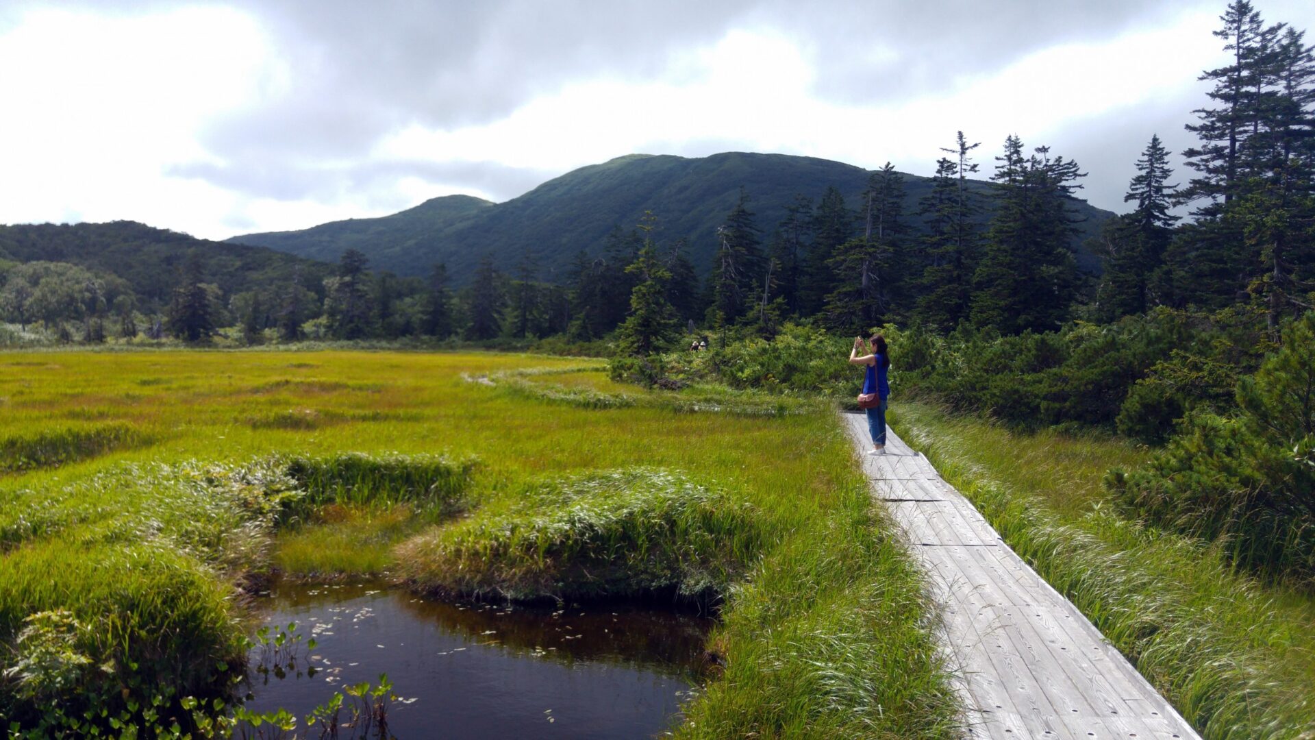 Shinsen-numa Wetland Swamp : Niseko | Visions of Travel