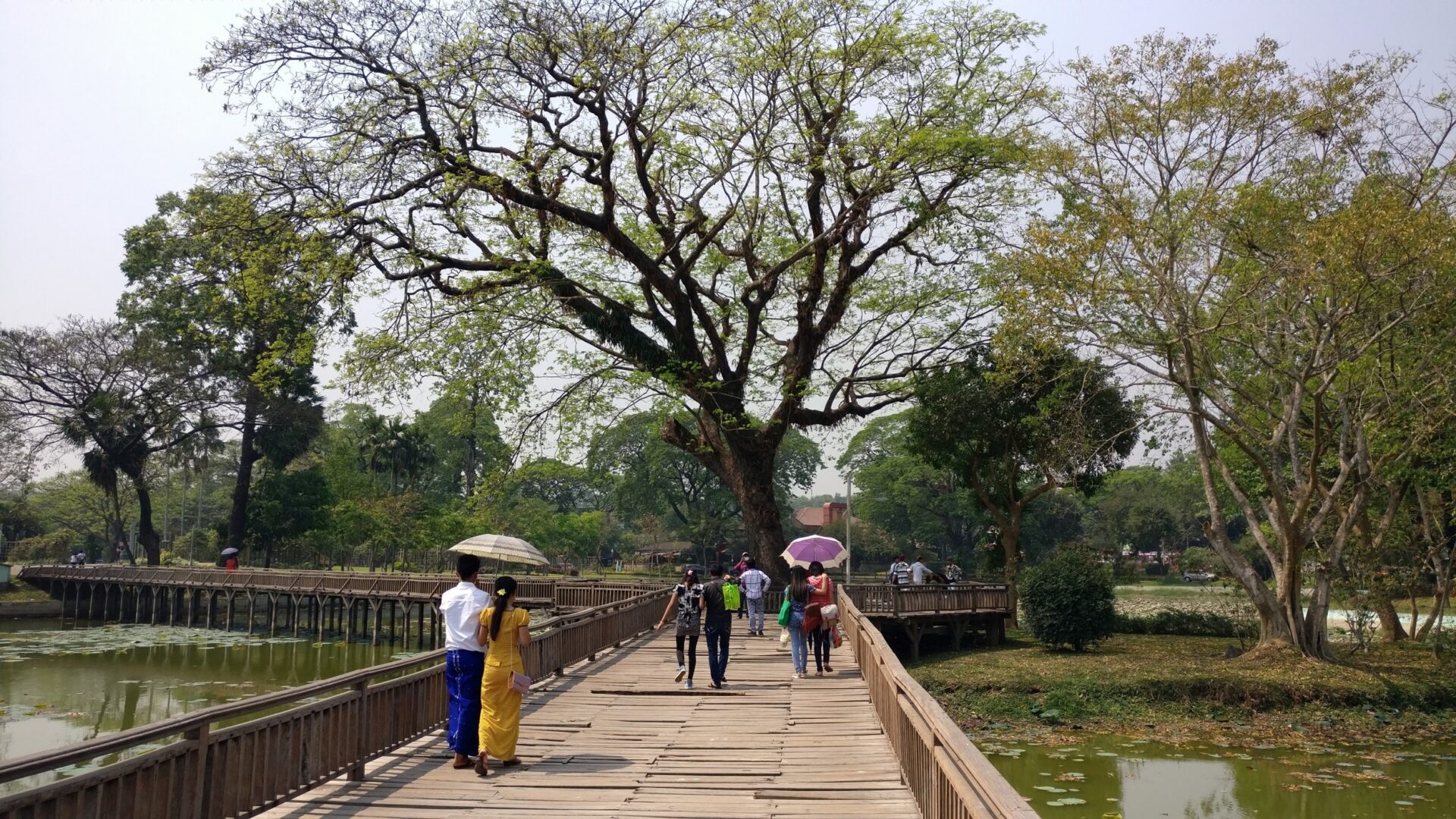 Kandawgyi Park : Yangon | Visions of Travel