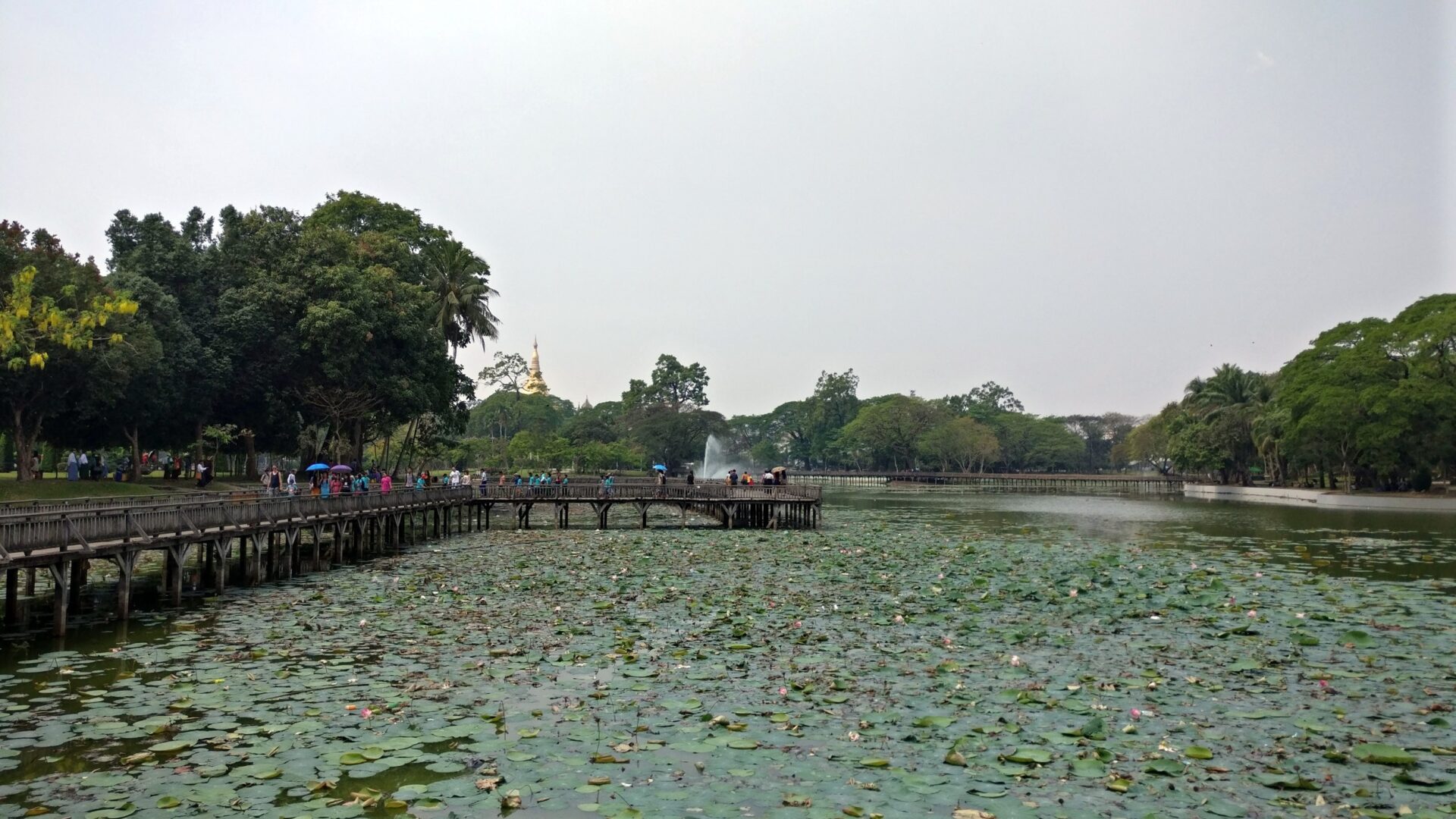 Kandawgyi Park : Yangon | Visions of Travel