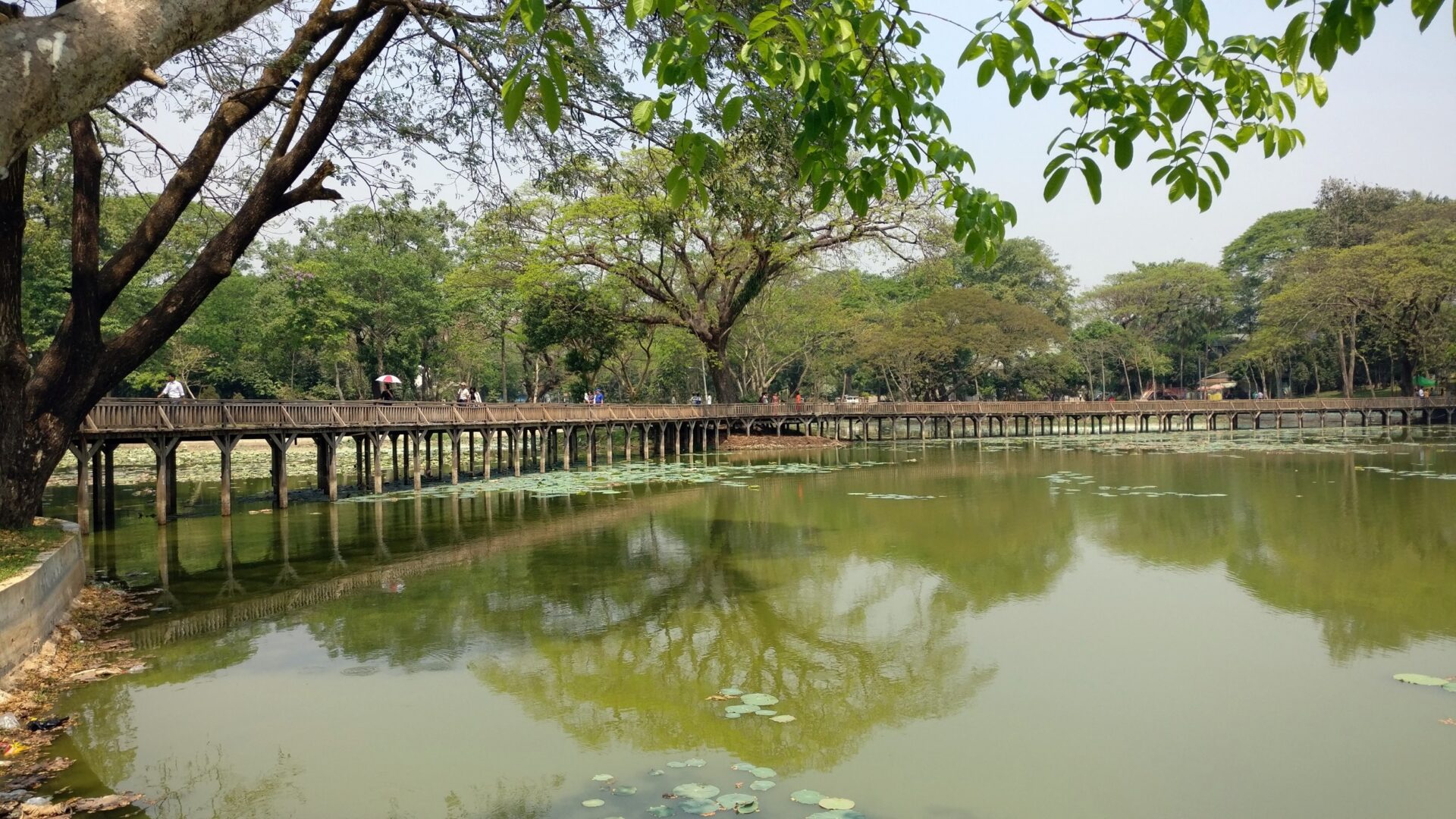 Kandawgyi Park : Yangon | Visions of Travel
