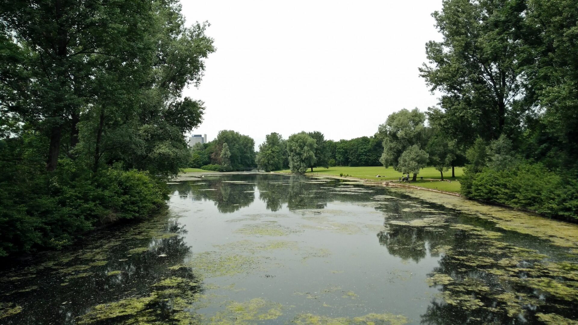 Rheinaue Park & Contemporary History Museum : Bonn | Visions of Travel