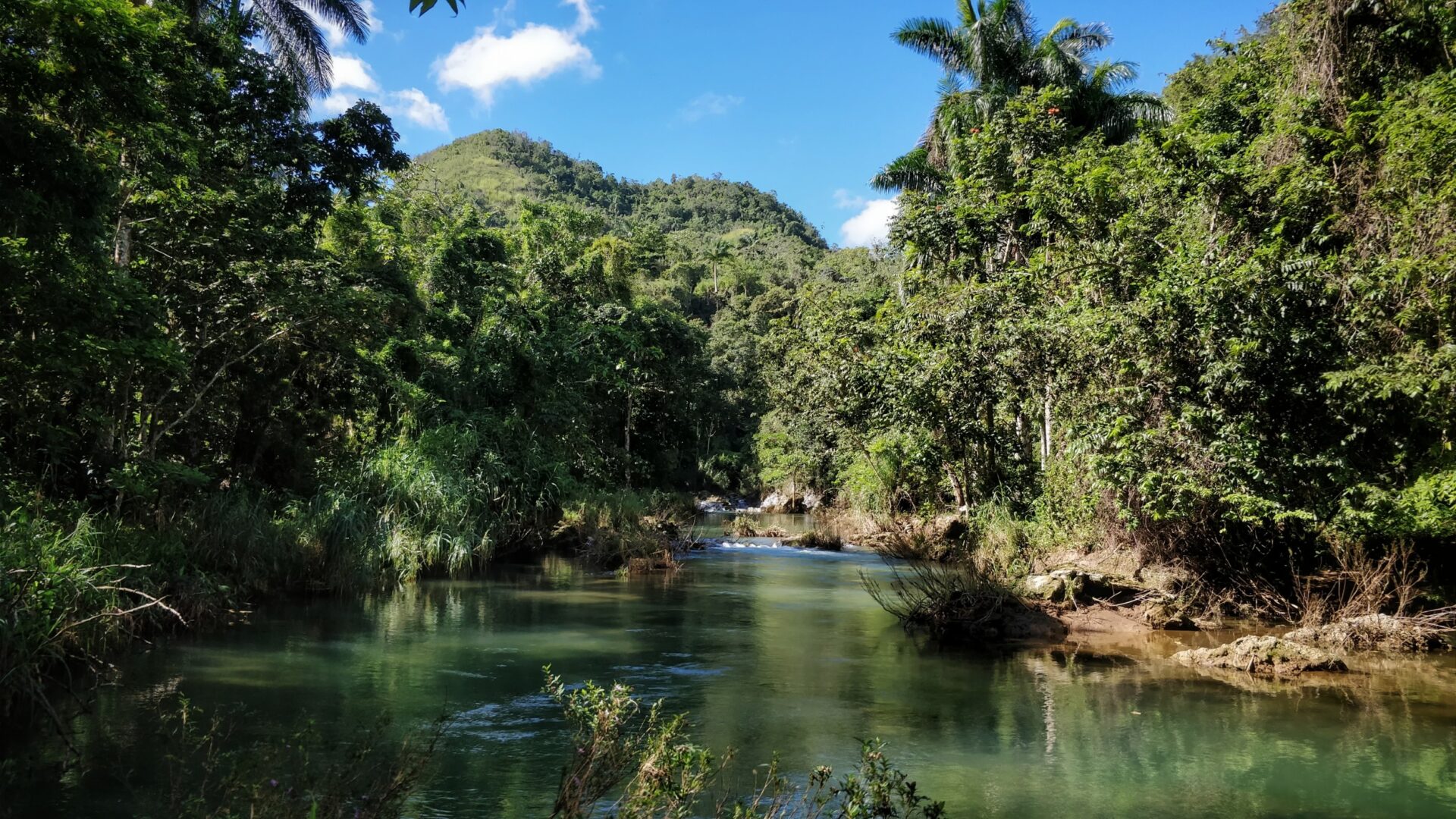 Visions of Cienfuegos & El Nicho : Cuba | Visions of Travel
