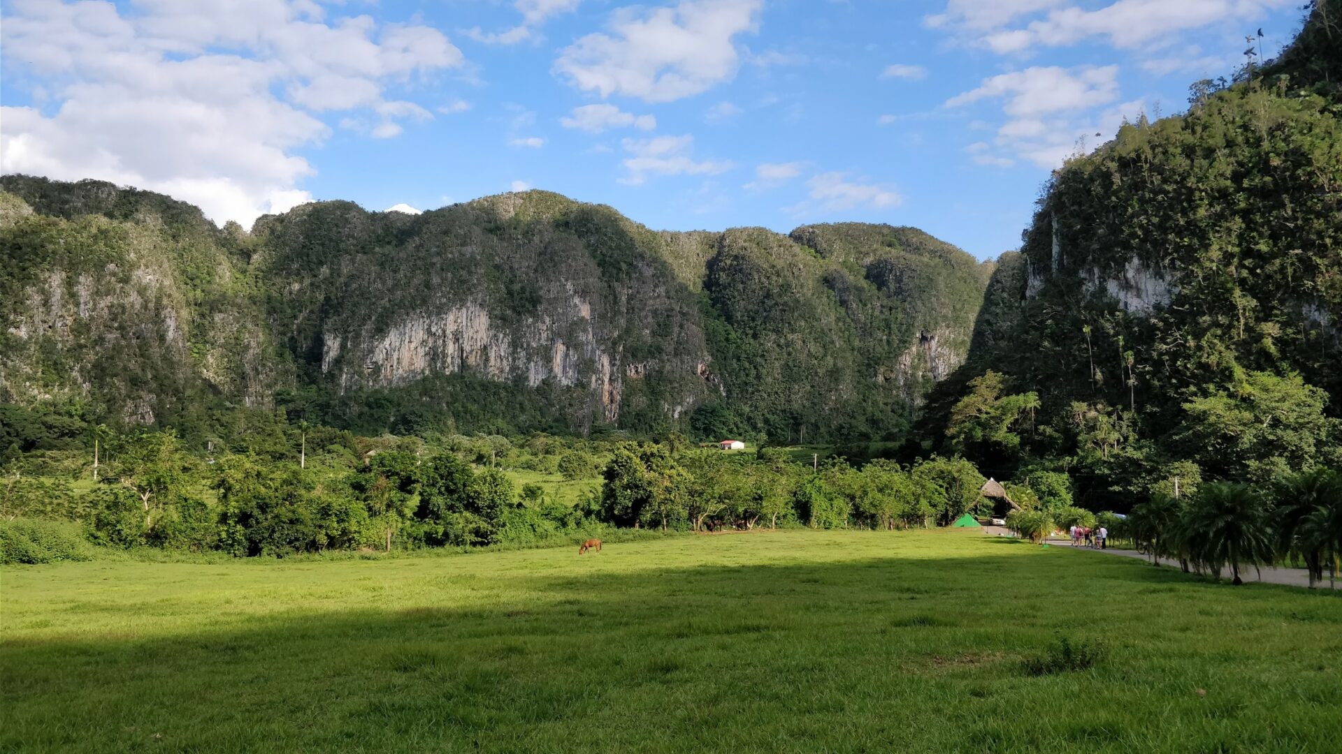 Visions of Vinales : Cuba | Visions of Travel