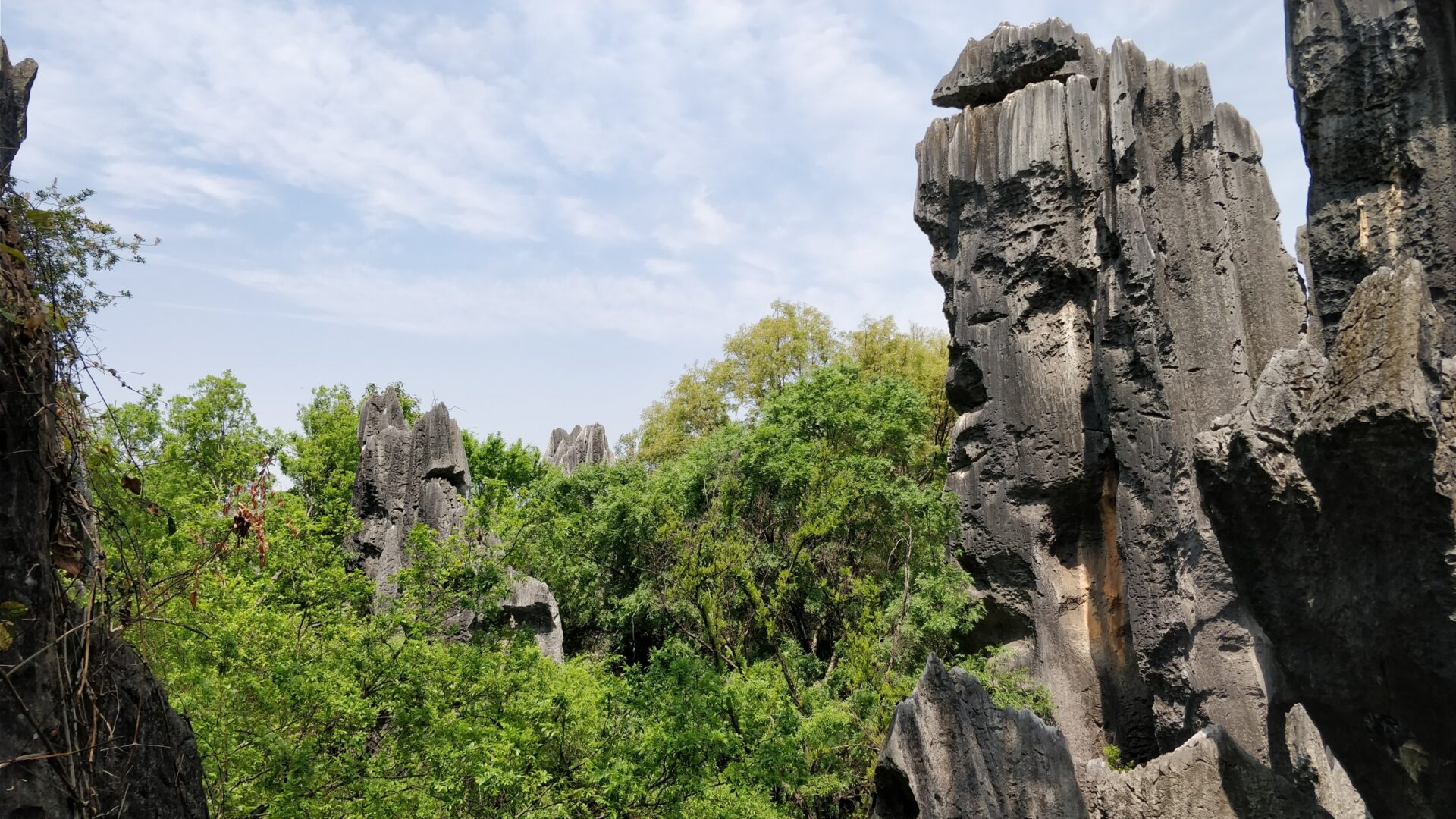 Shilin Stone Forest : Yunnan China | Visions of Travel