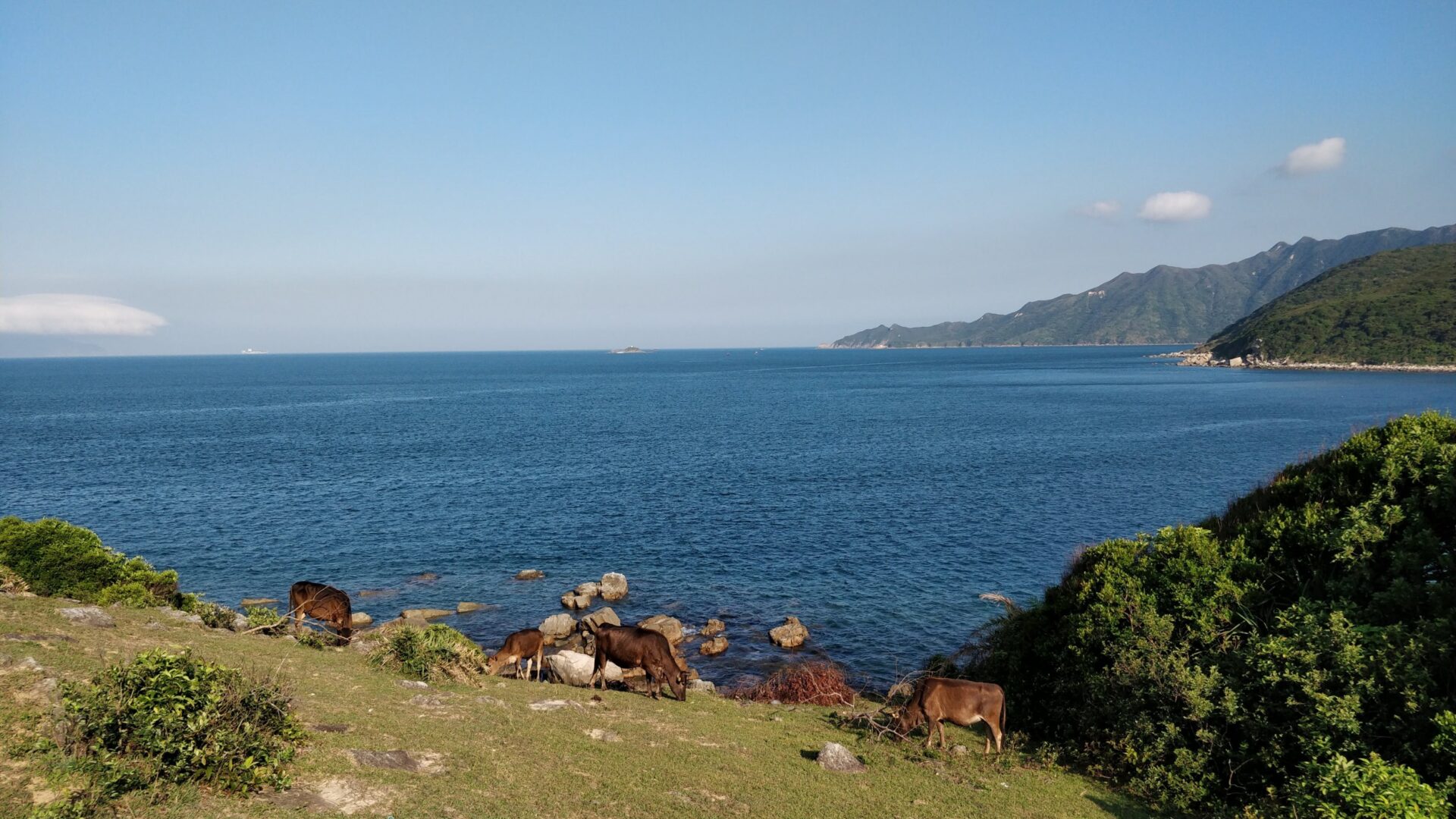 Tap Mun Grass Island Hike : Hong Kong | Visions of Travel