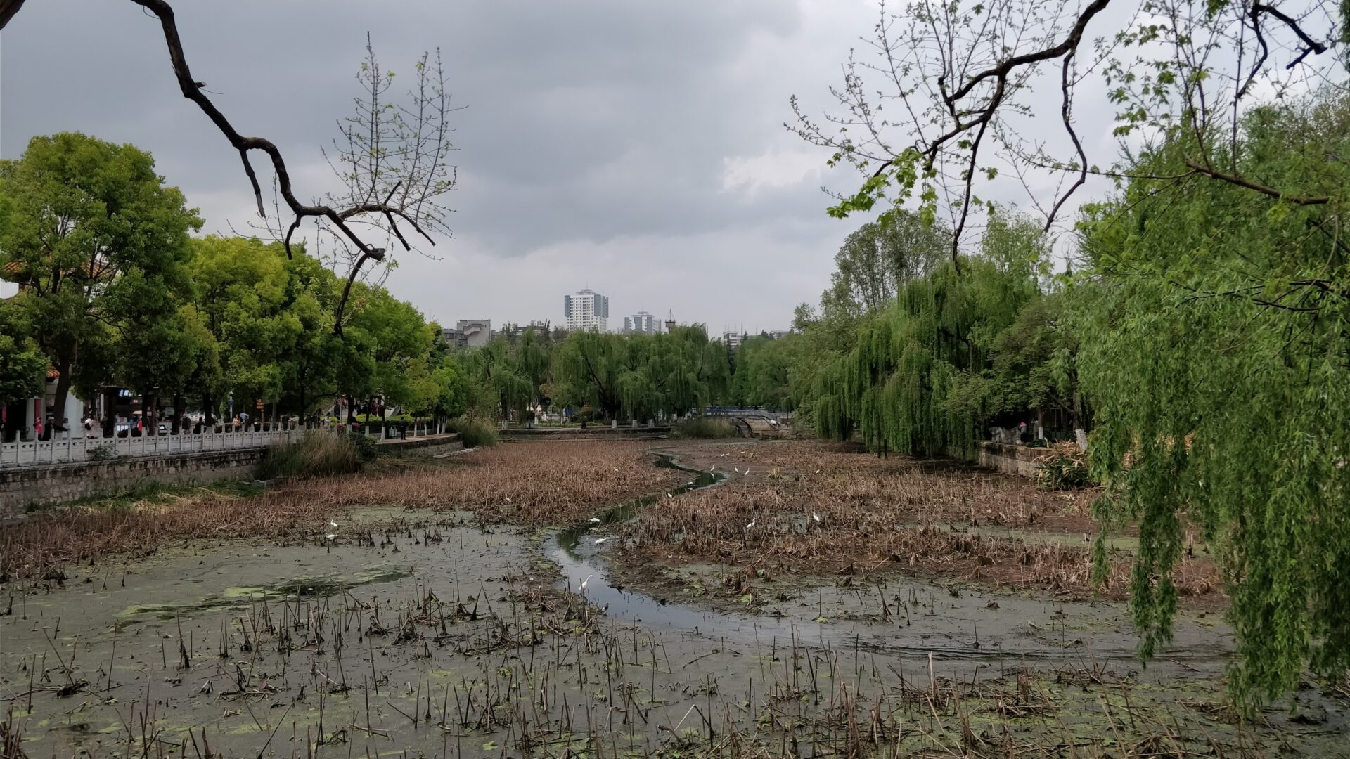 Green Lake Park and Yunnan University : Kunming China | Visions of Travel