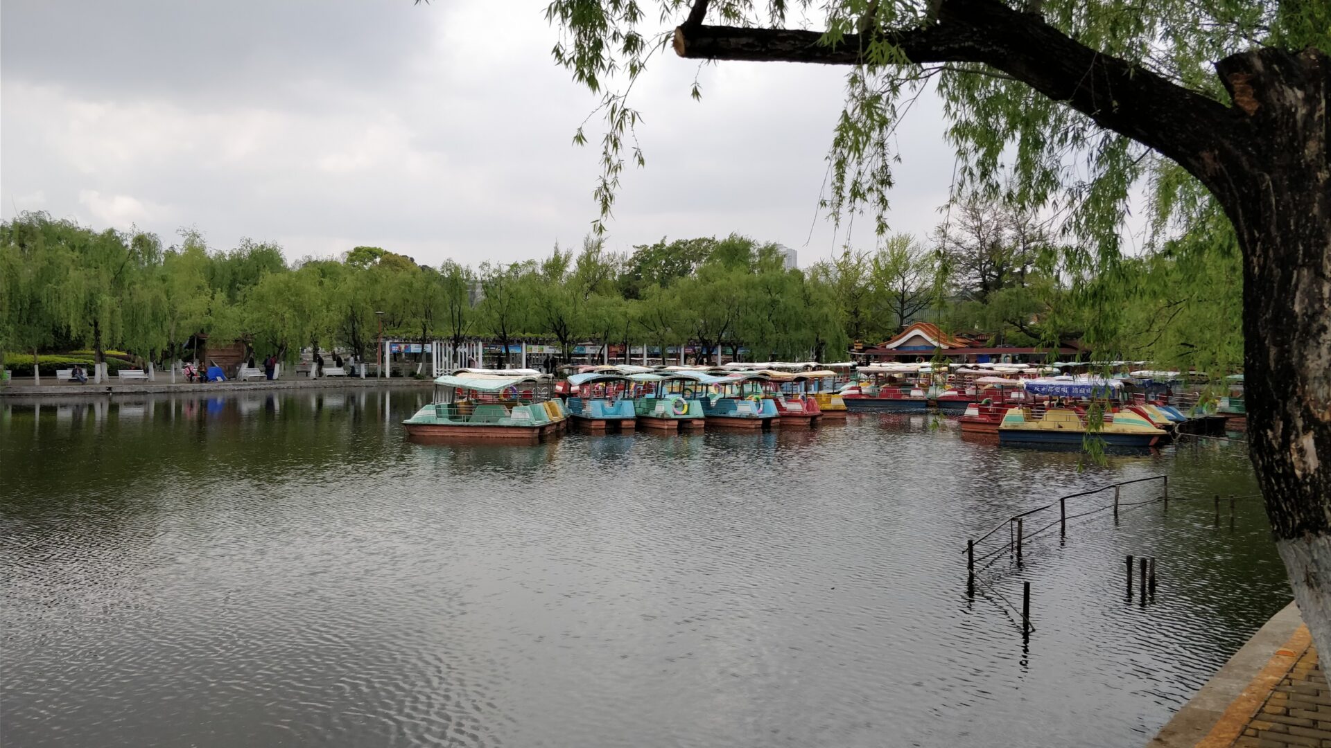 Green Lake Park and Yunnan University : Kunming China | Visions of Travel