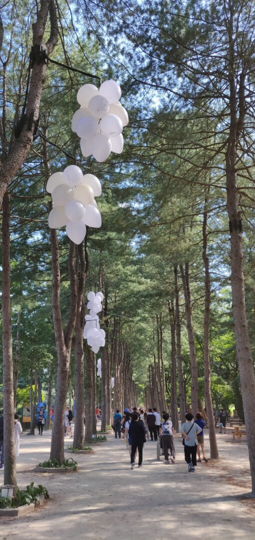 Chuncheon : South Korea | Visions of Travel