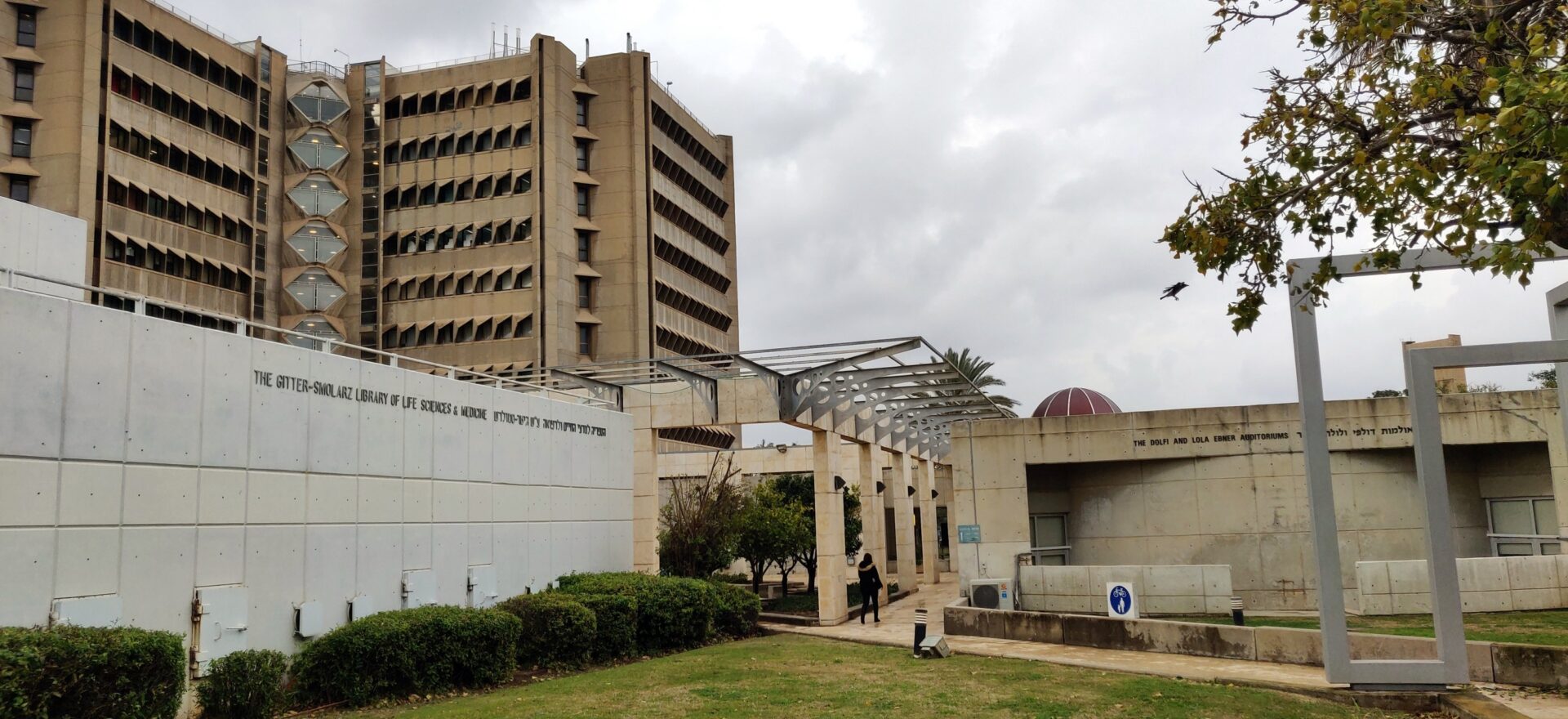 Tel Aviv University Campus Israel | Visions of Travel